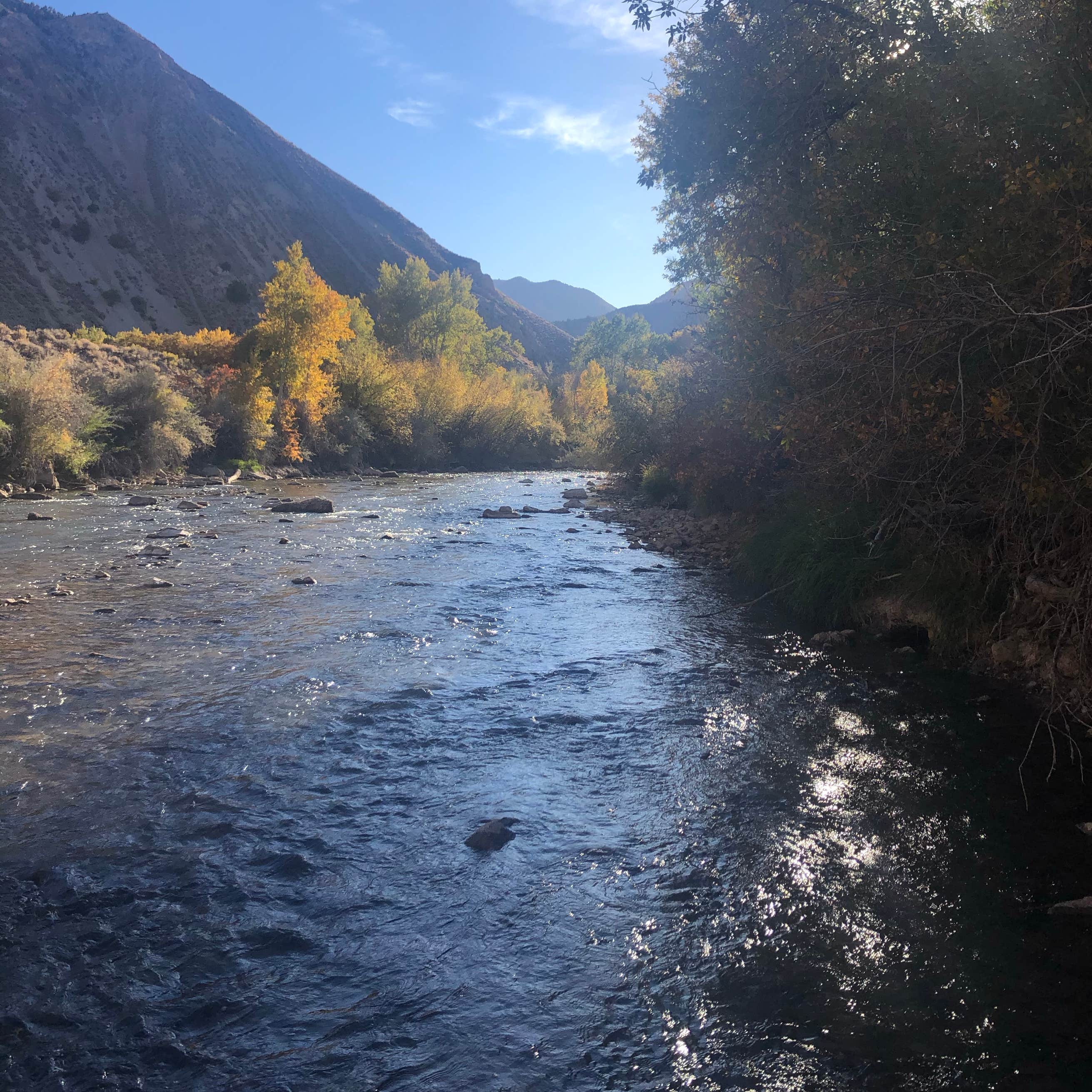 Sevier River RV Park Camping | The Dyrt