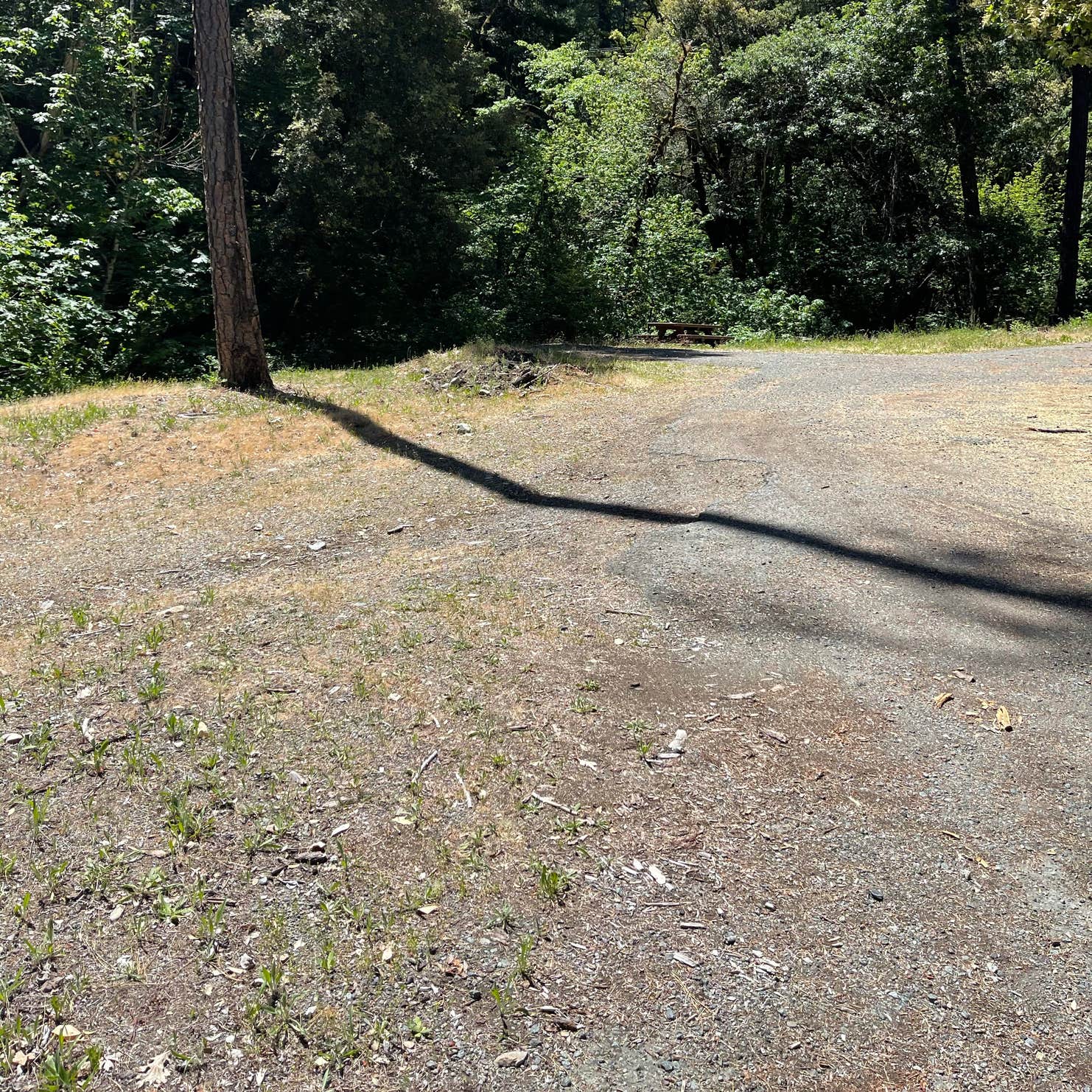 Trinity National Forest Big Bar Campground Camping | The Dyrt