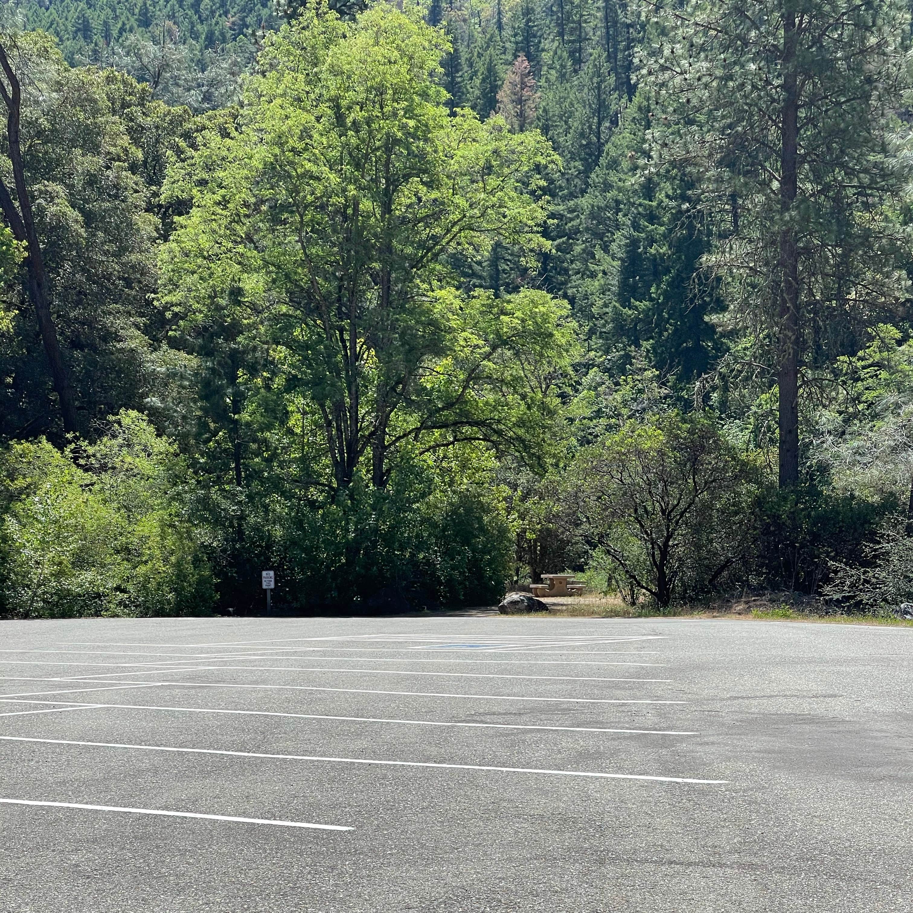 Skunk Point Group Campground — Shasta Trinity National Forest | Helena ...
