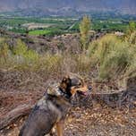 Dennison Park Camping | The Dyrt