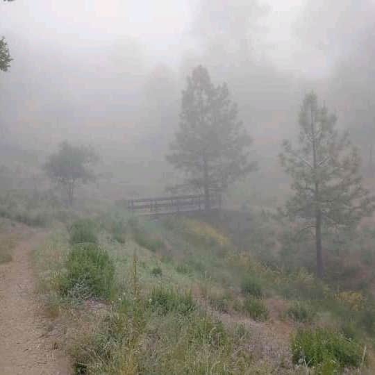 Coe Ranch Campground — Henry W. Coe State Park | Morgan Hill, California