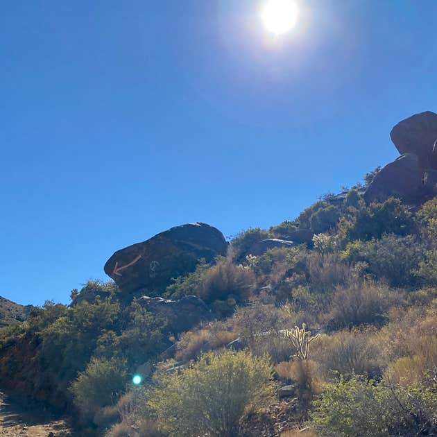 Packsaddle Recreation Site Camping | Dolan Springs, Arizona