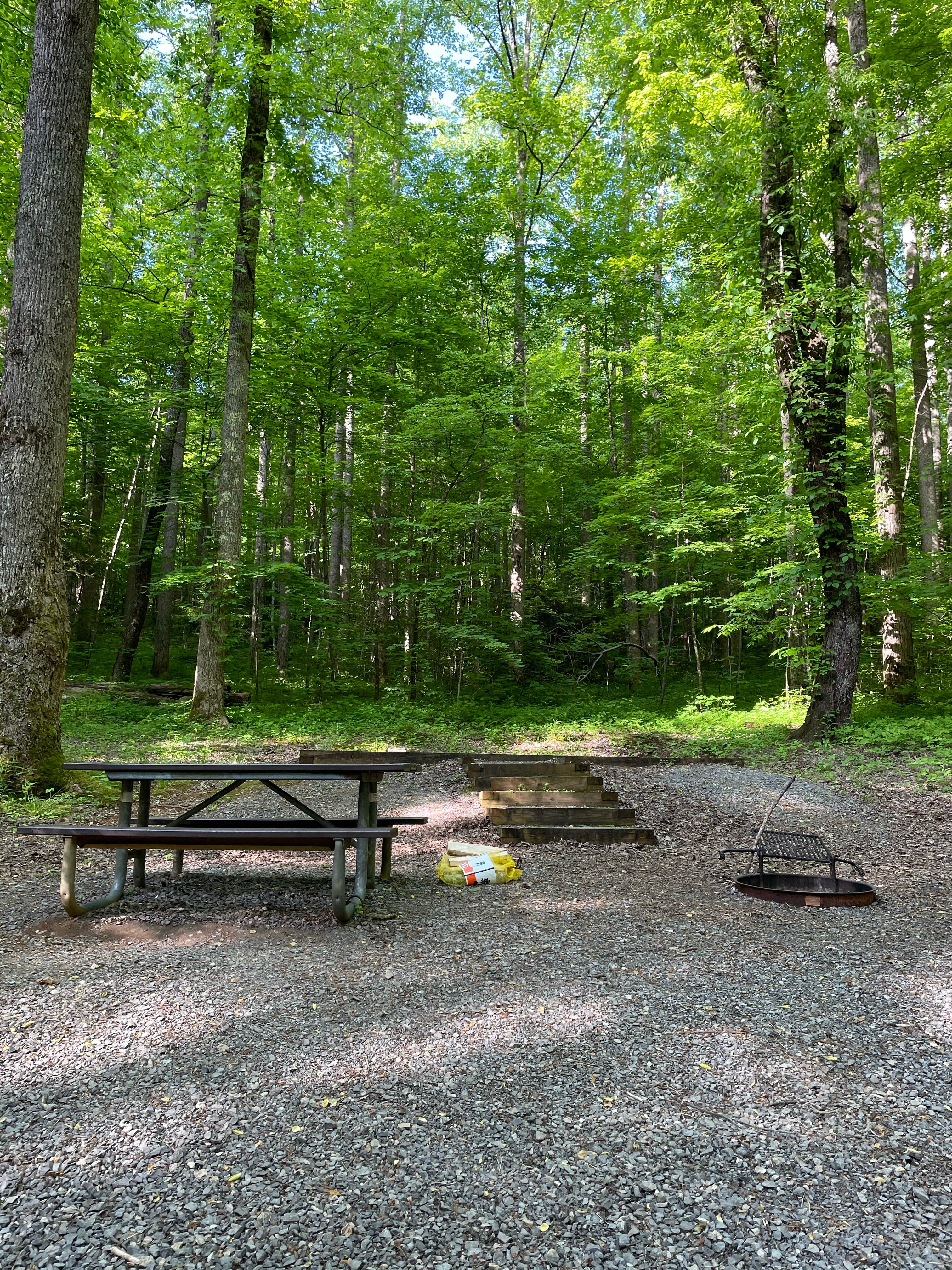 Best camping in Cherokee National Forest | The Dyrt