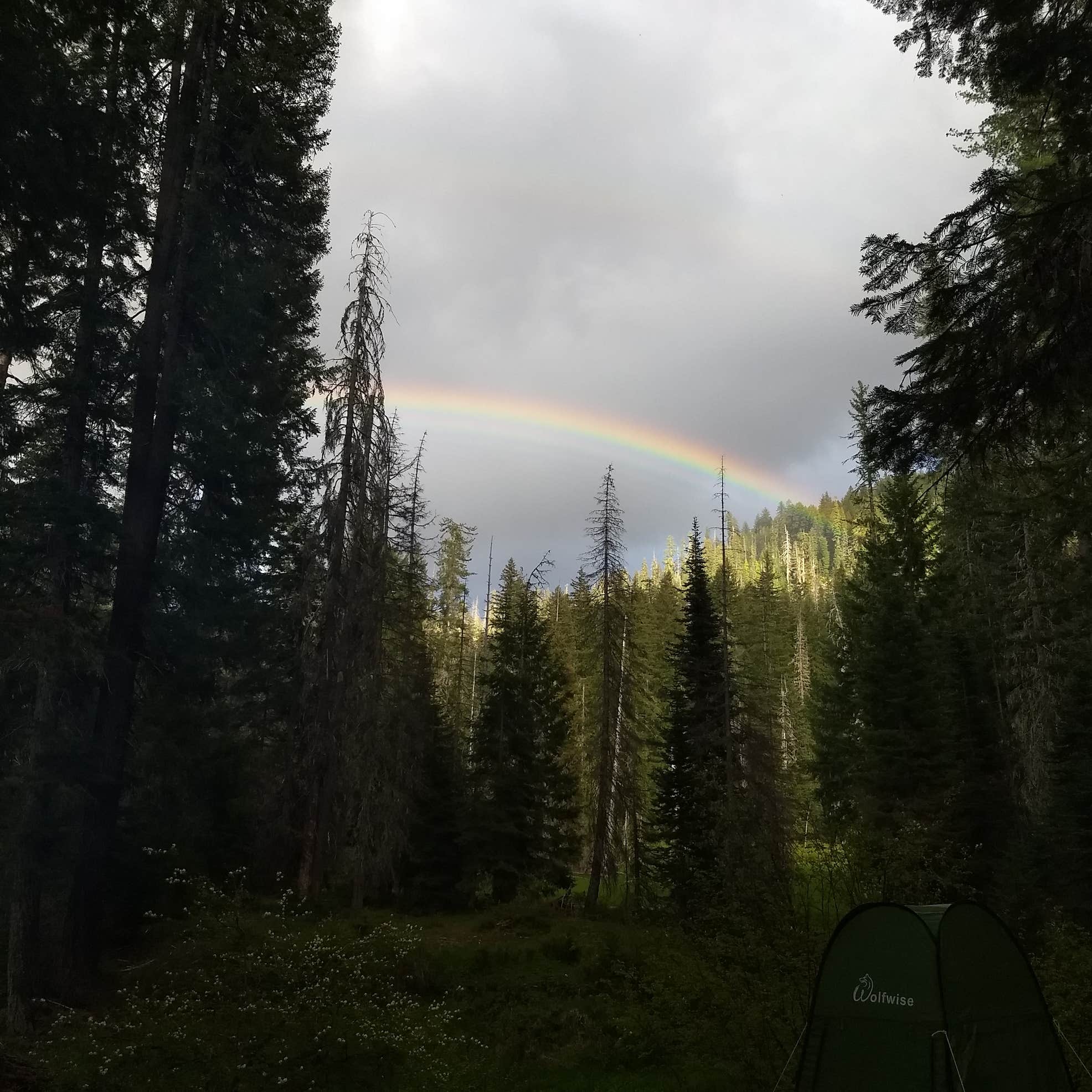Rogue River National Forest Hamaker Campground | Diamond Lake, Oregon