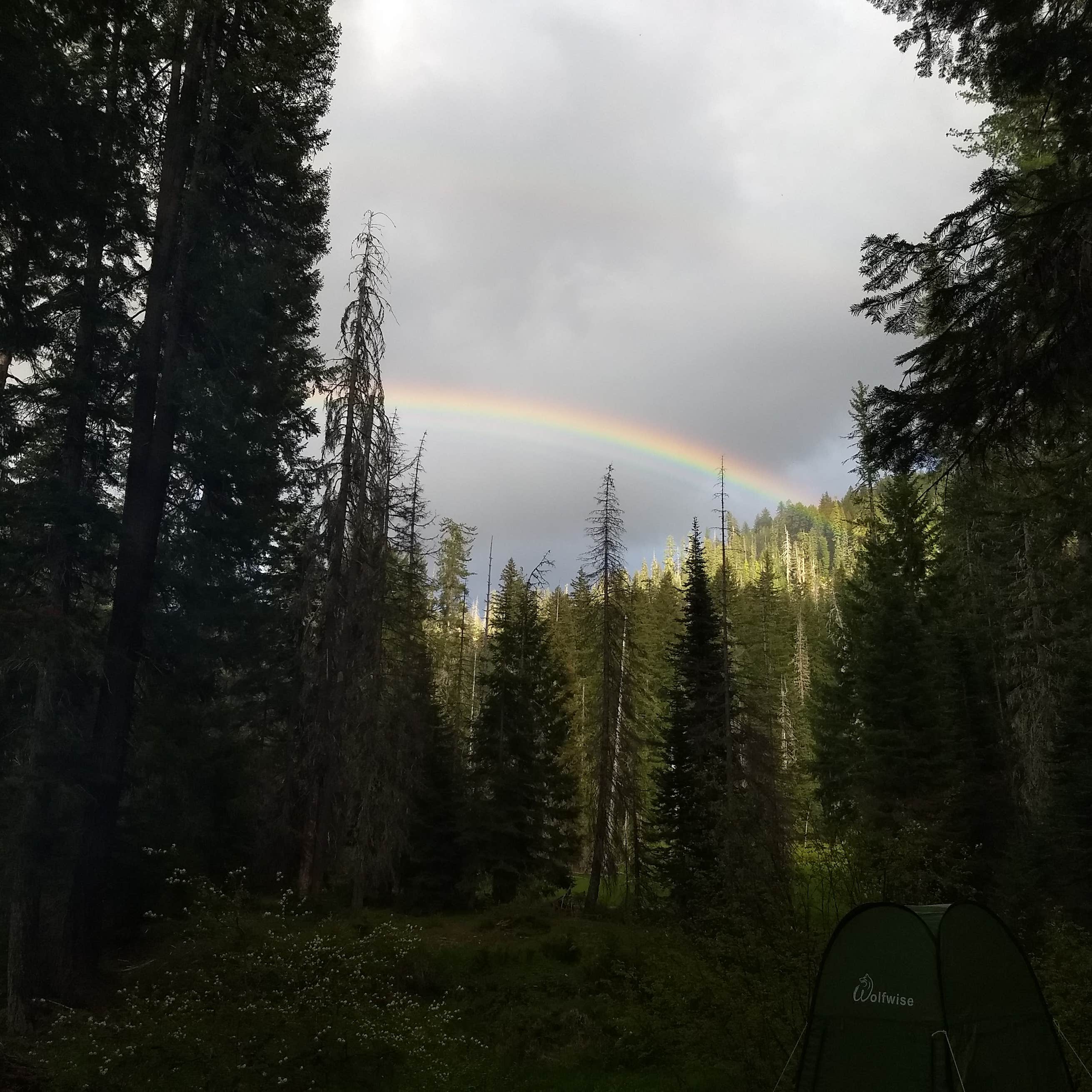Rogue River National Forest Hamaker Campground | Diamond Lake, Oregon