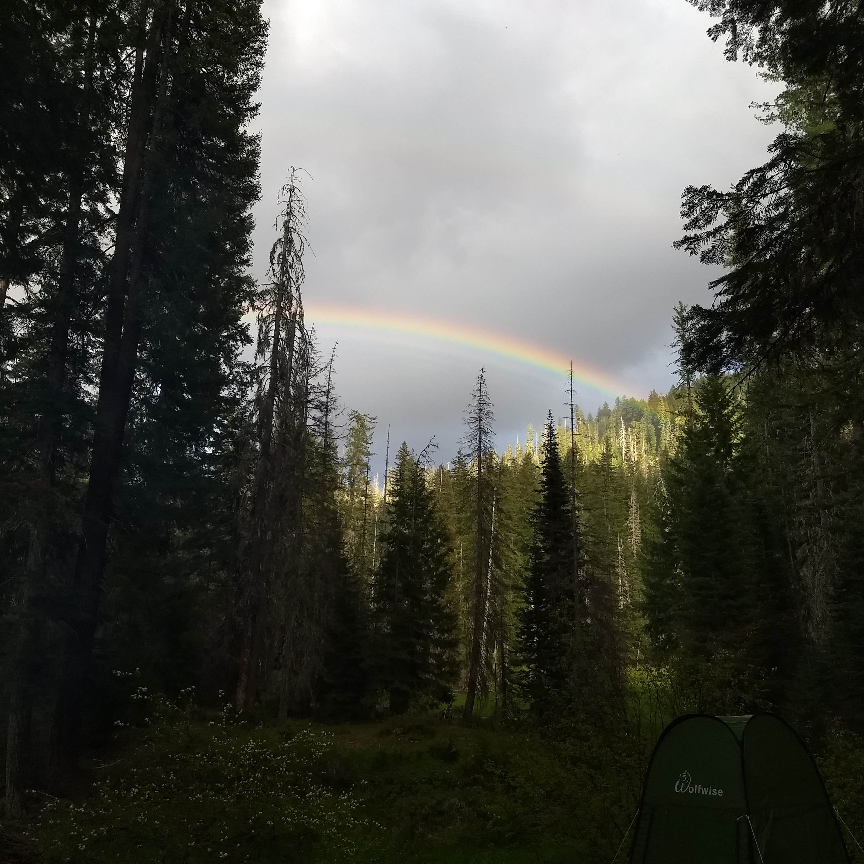 Rogue River National Forest Hamaker Campground | Diamond Lake, Oregon
