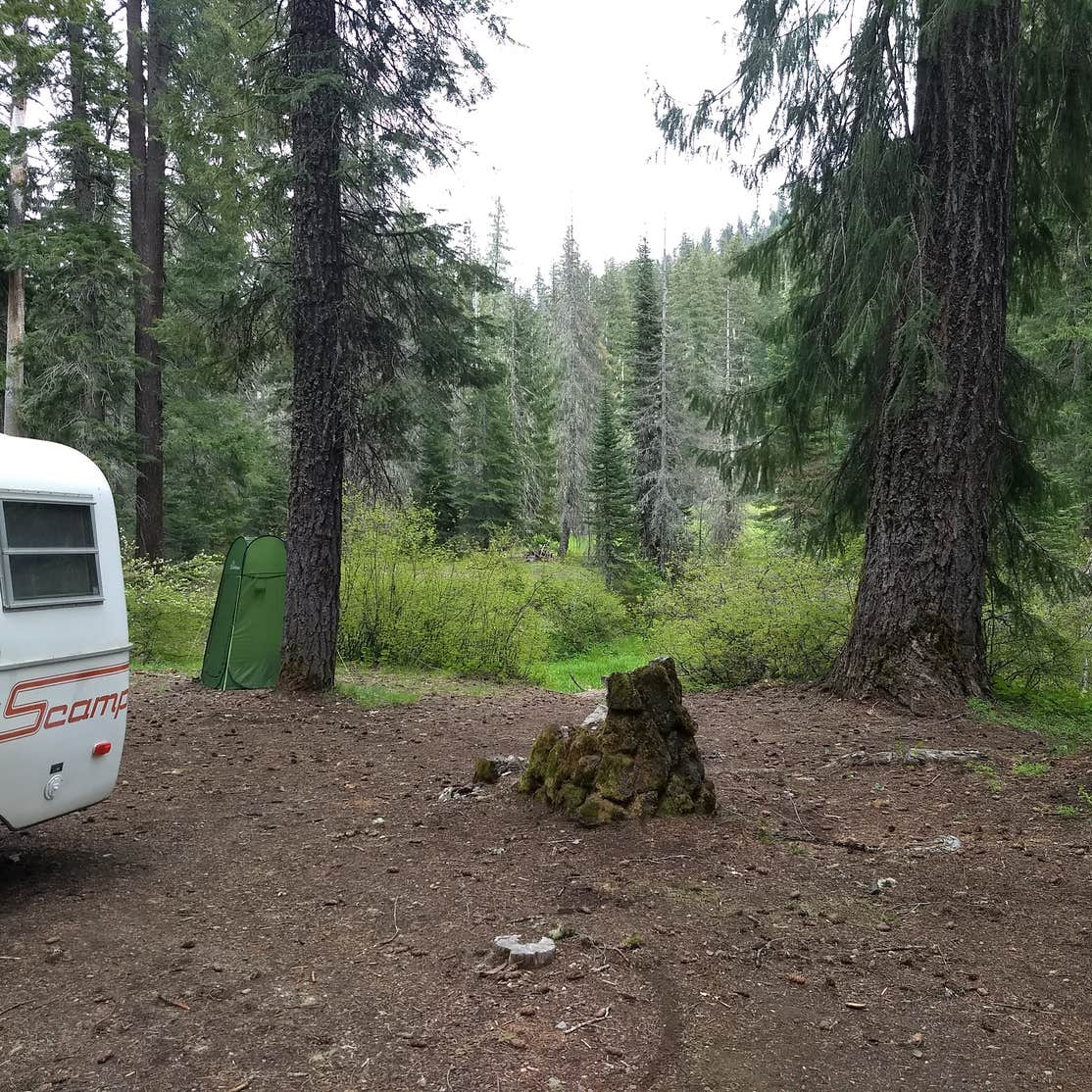 Rogue River National Forest Hamaker Campground | Diamond Lake, Oregon