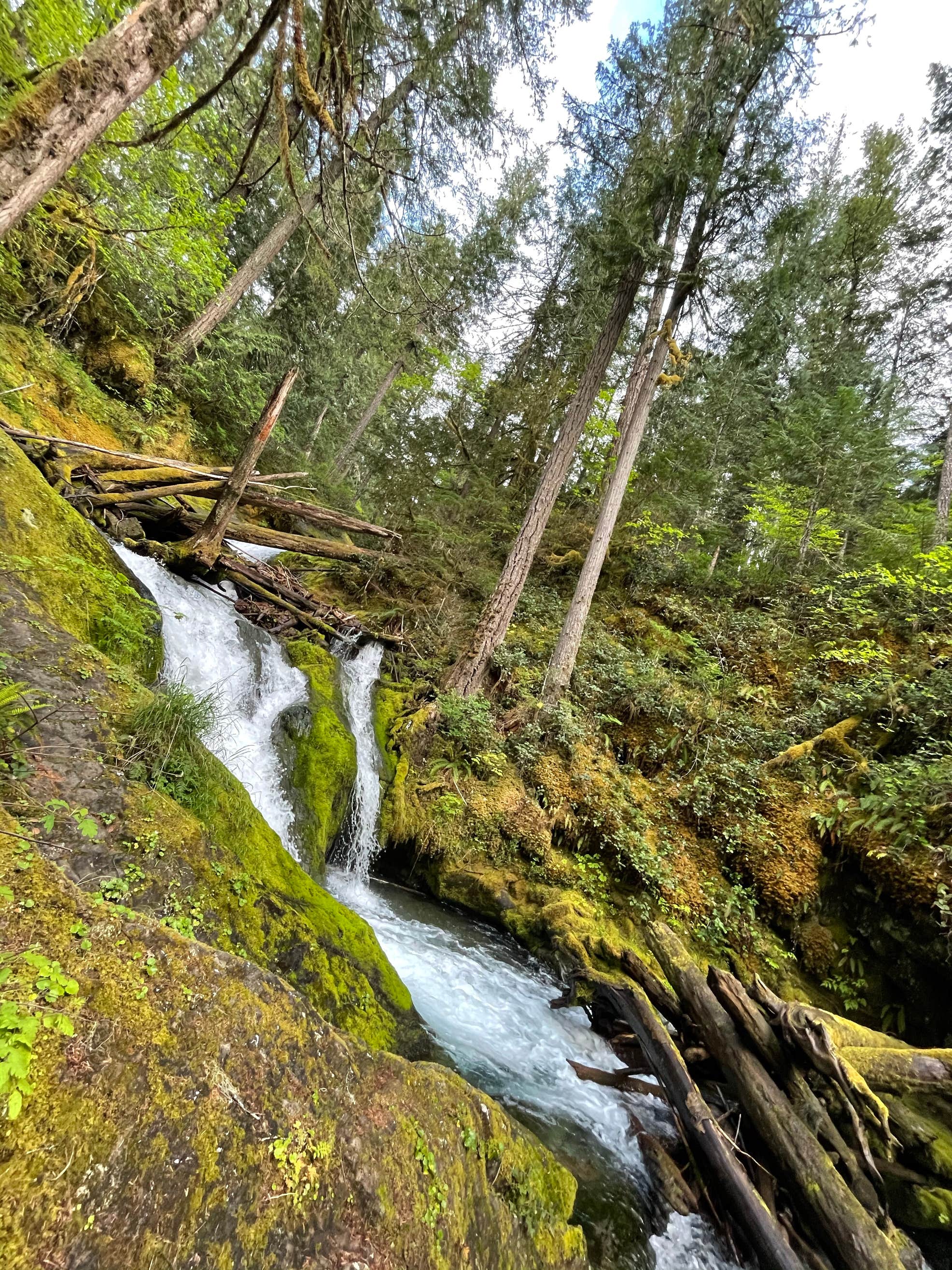 La Wis Wis Campground | The Dyrt