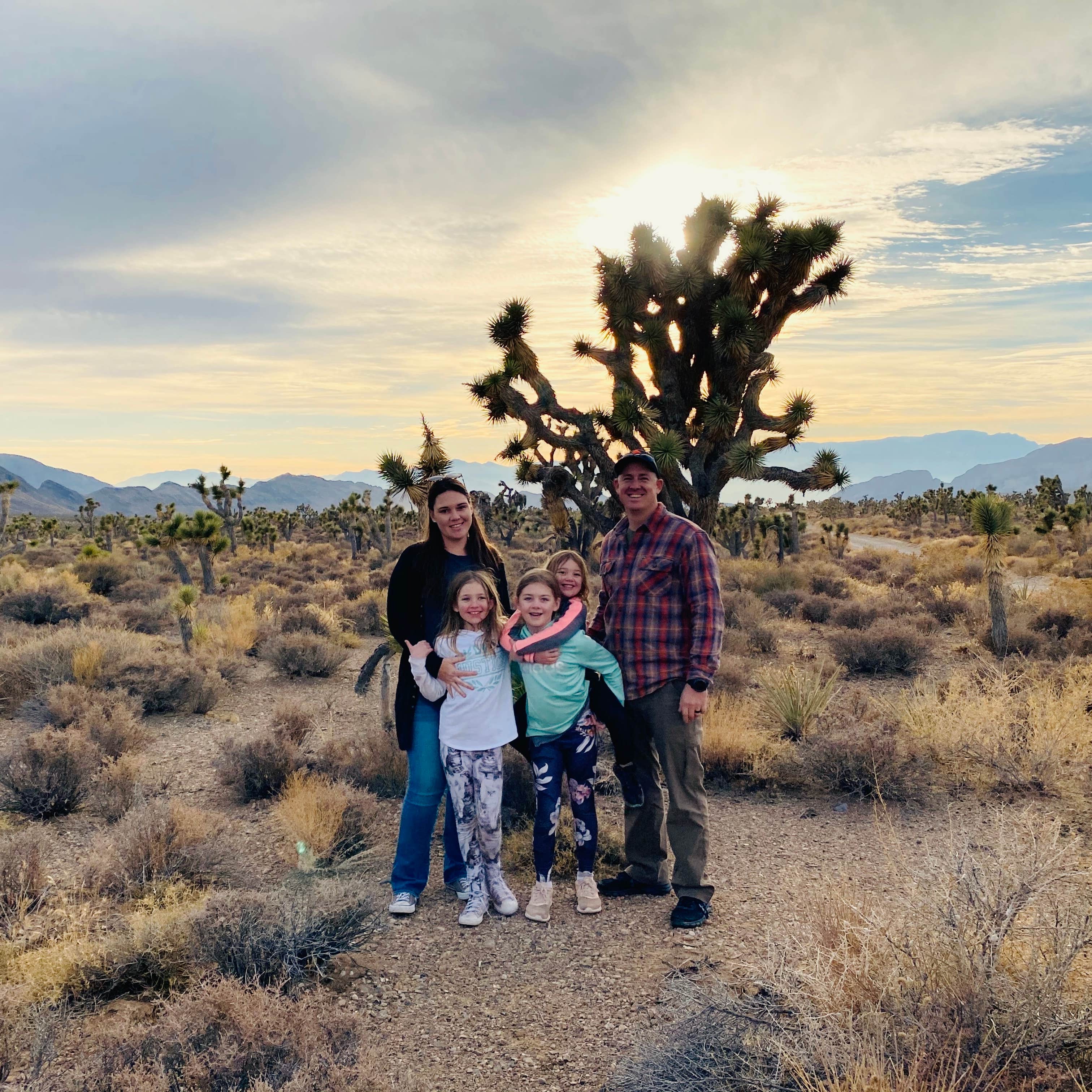 Dispersed Camping - Mormon Well Road/Desert Pass Camping | The Dyrt