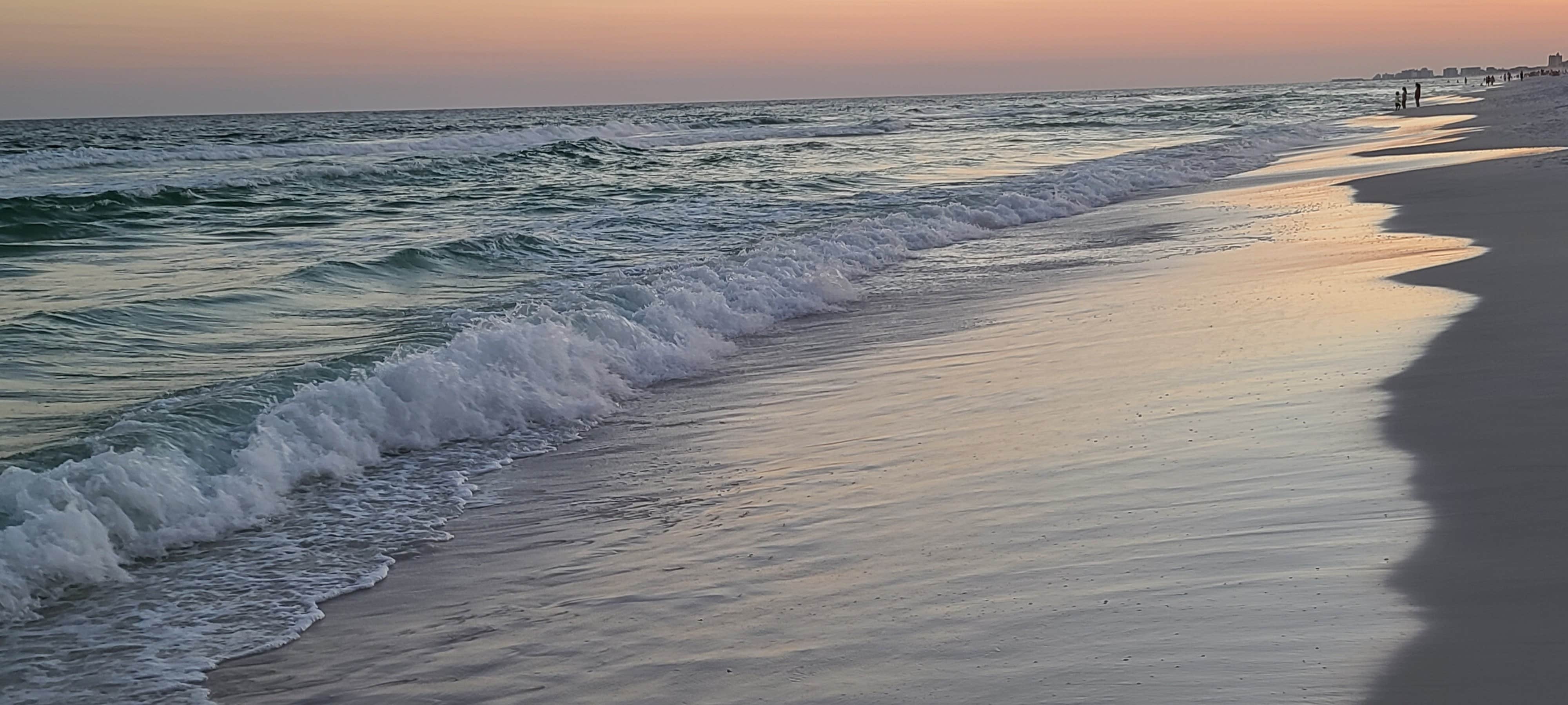 Camp Gulf | The Dyrt