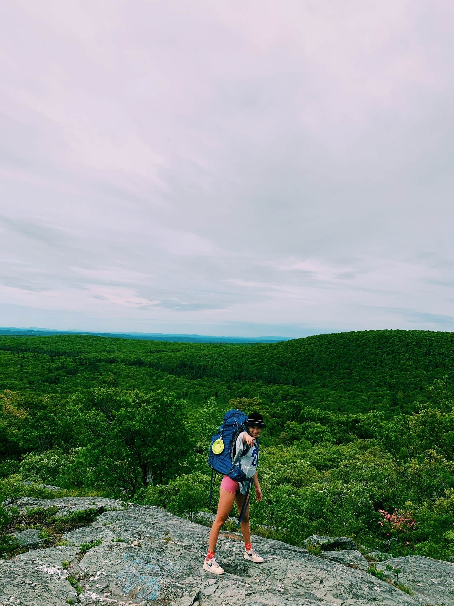 Beartown State Forest Camping | The Dyrt