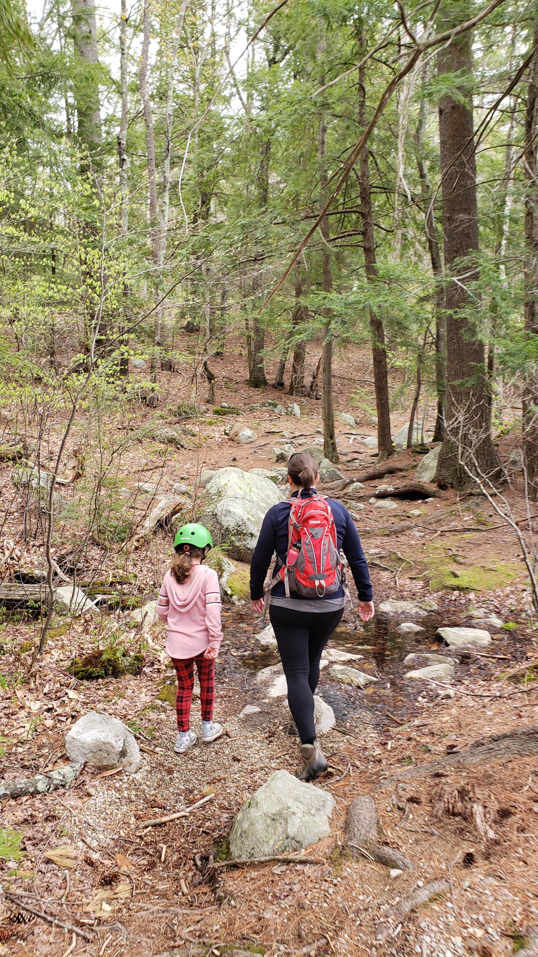 Bear Brook | The Dyrt