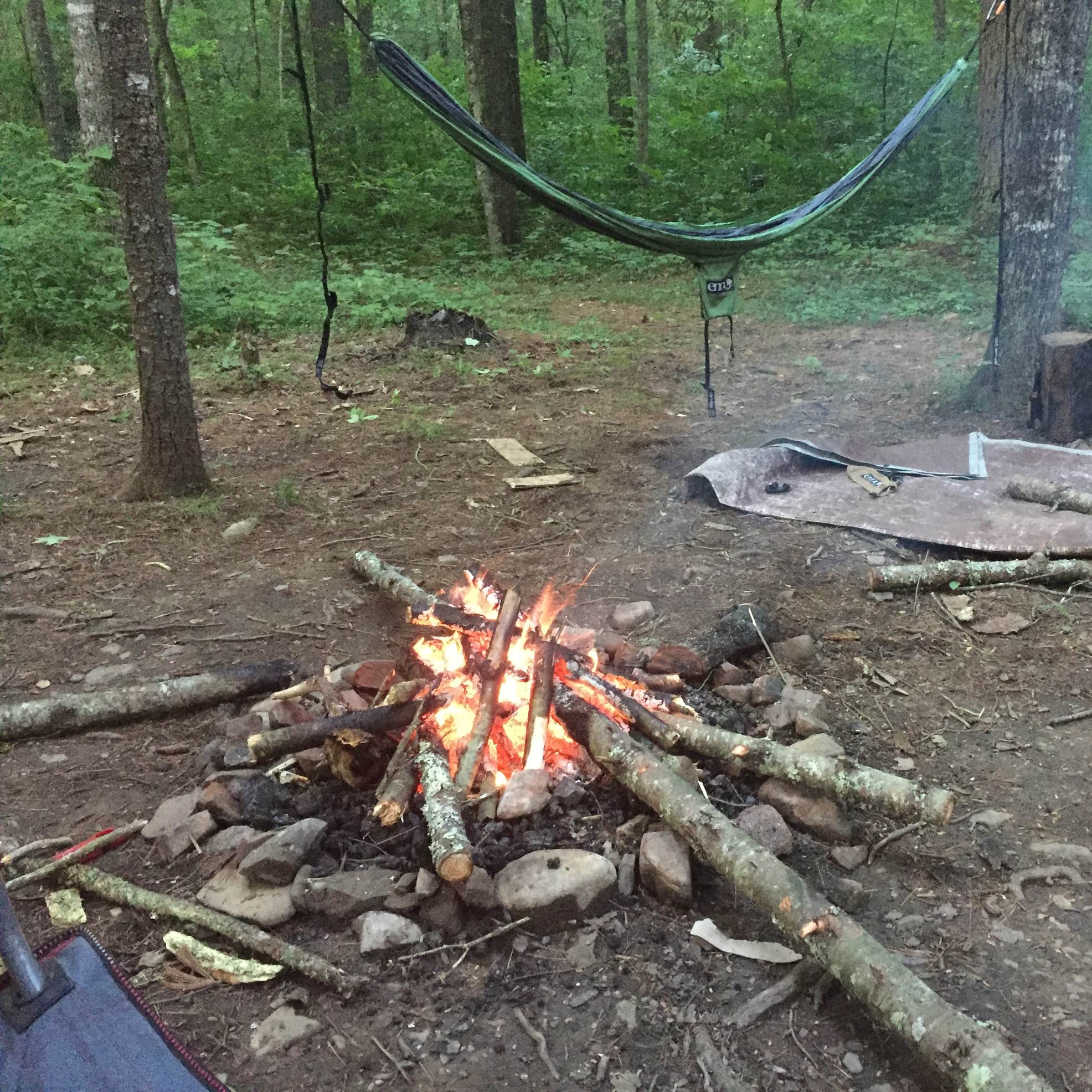 Braley Pond Dispersed Camping & Day Use Area Camping | The Dyrt