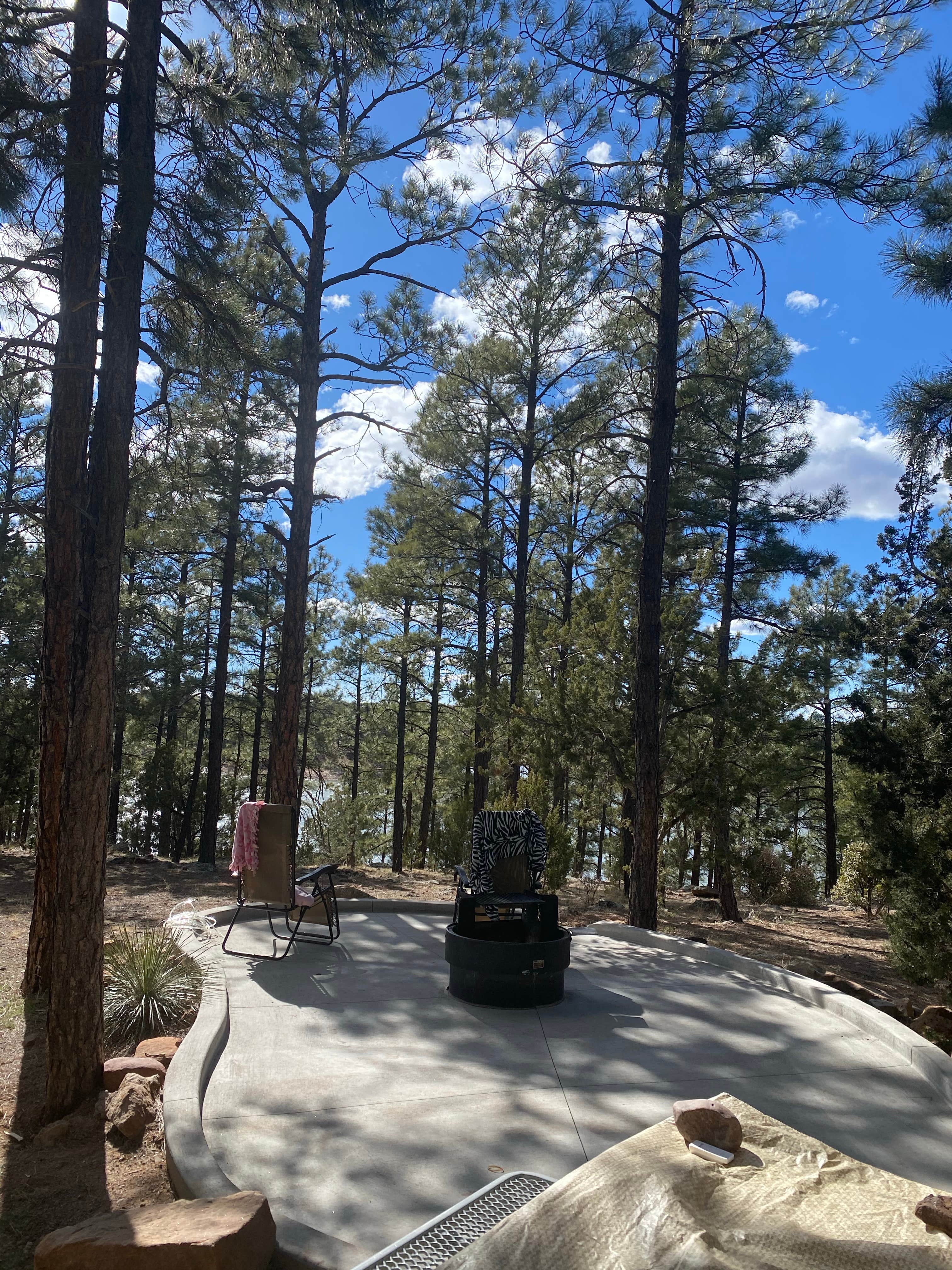 Fool Hollow Lake Recreation Area Campground | The Dyrt