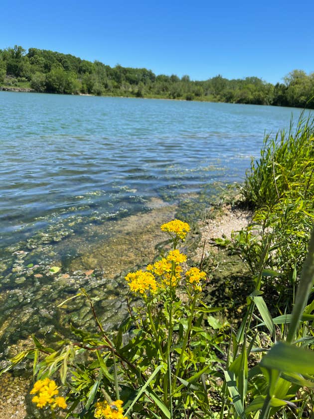 Big Rock Campground Camping | The Dyrt