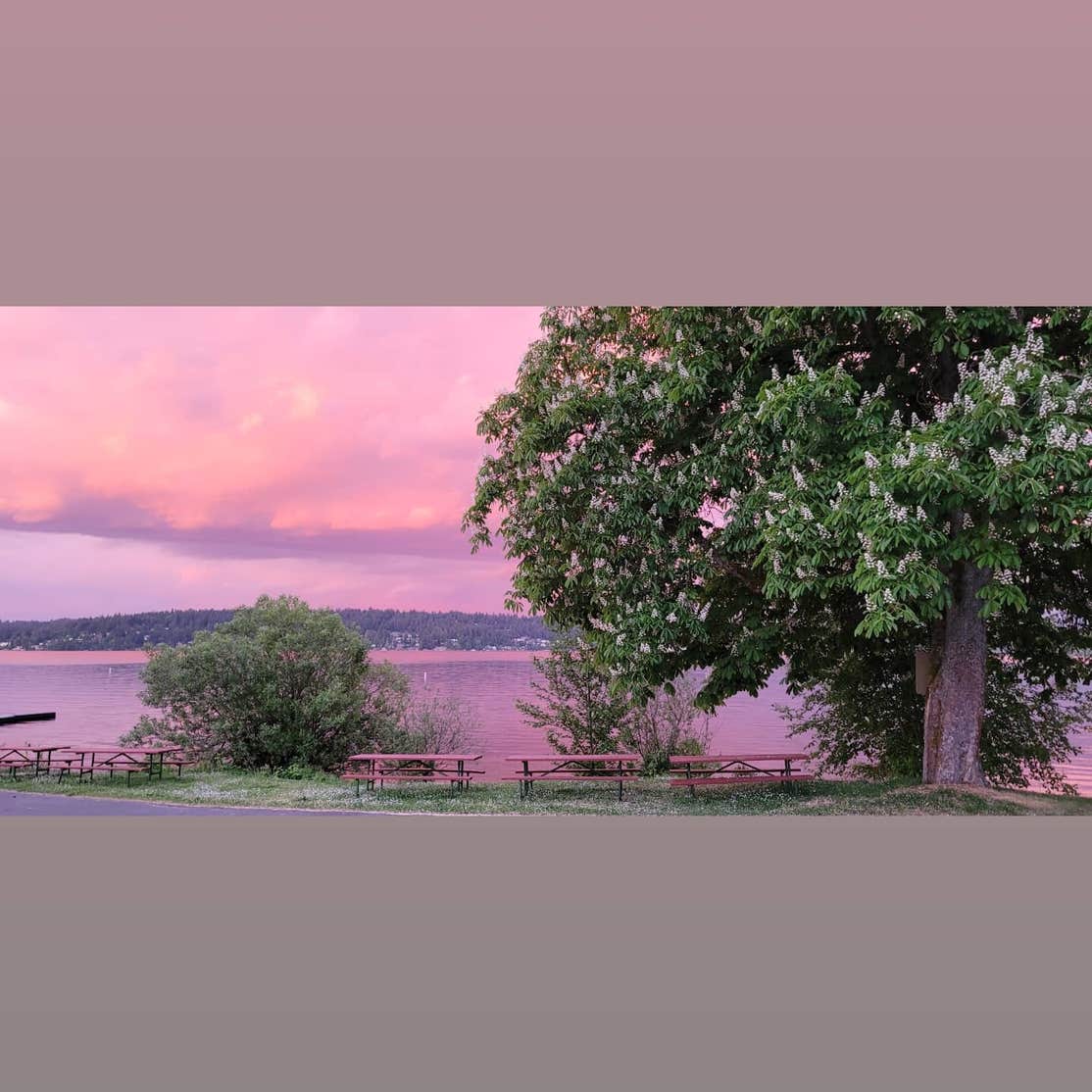 Vasa Park Resort Camping | Bellevue, Washington