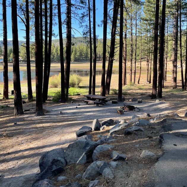 Plumas National Forest Spring Creek Campground | Blairsden, CA