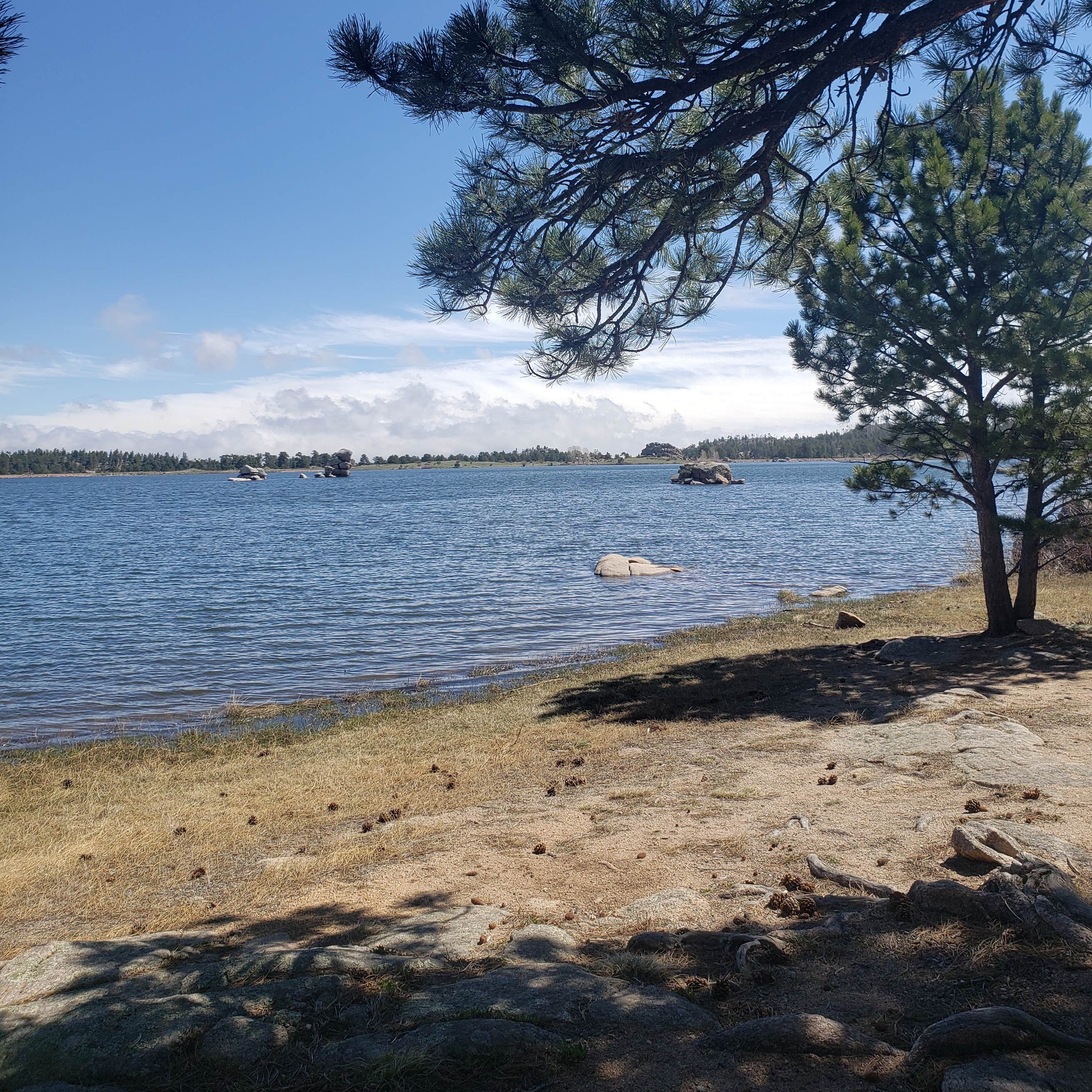 Dowdy Lake Campground Camping | Red Feather Lakes, CO | The Dyrt
