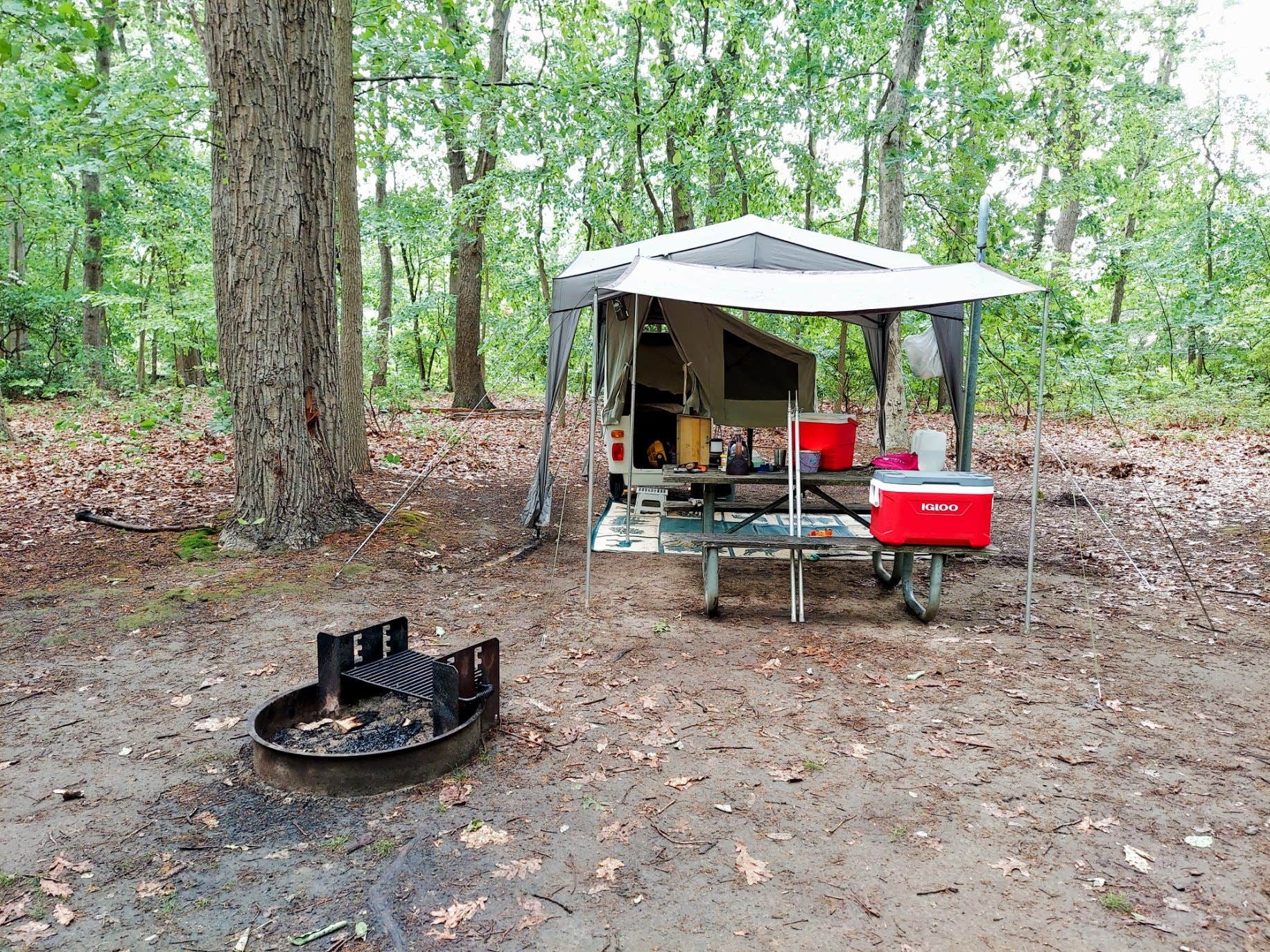 Cheesequake State Park Campground | Matawan, NJ