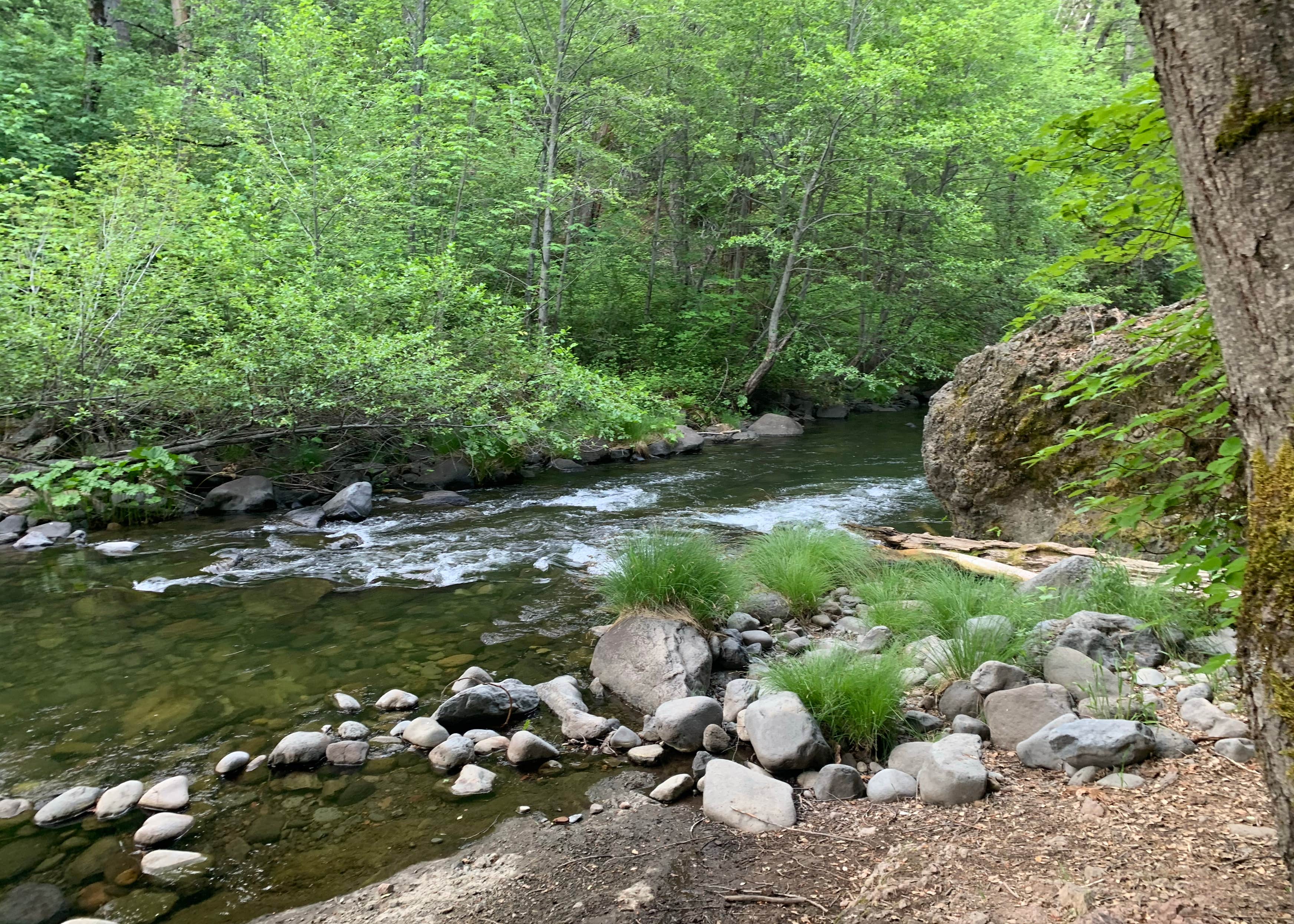 Potato Patch Campground Camping | The Dyrt