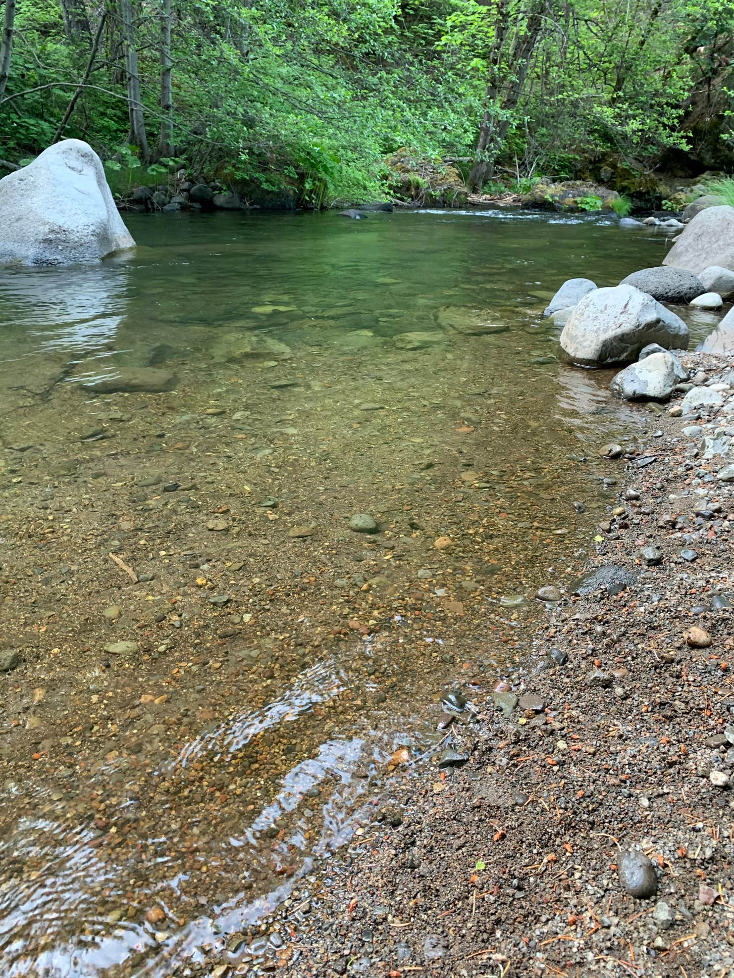 Potato Patch Campground Camping | The Dyrt