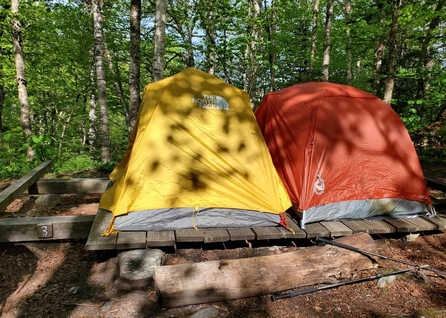 Camel's Hump State Park Camping | The Dyrt