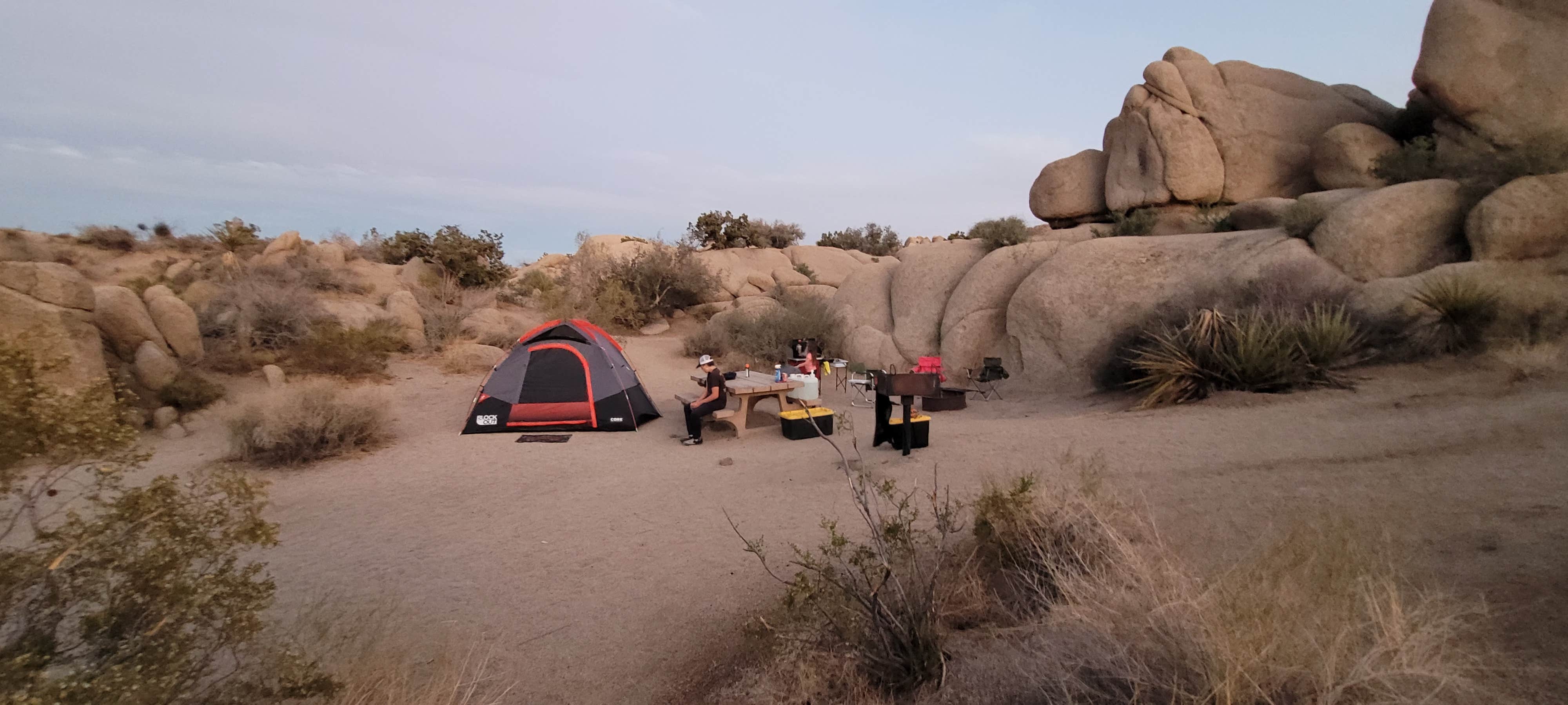 Jumbo Rocks Campground | The Dyrt