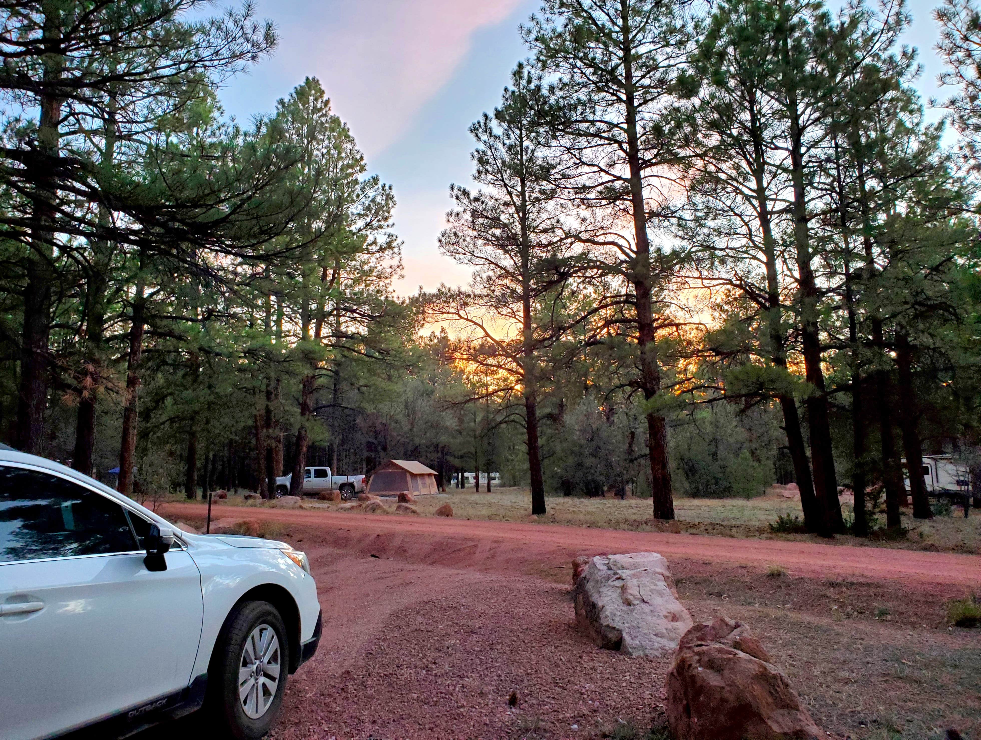 Cibola/Quaking Aspen Campground | The Dyrt