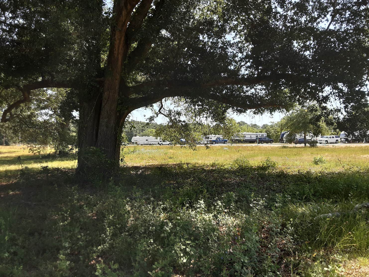 Camp David | The Dyrt