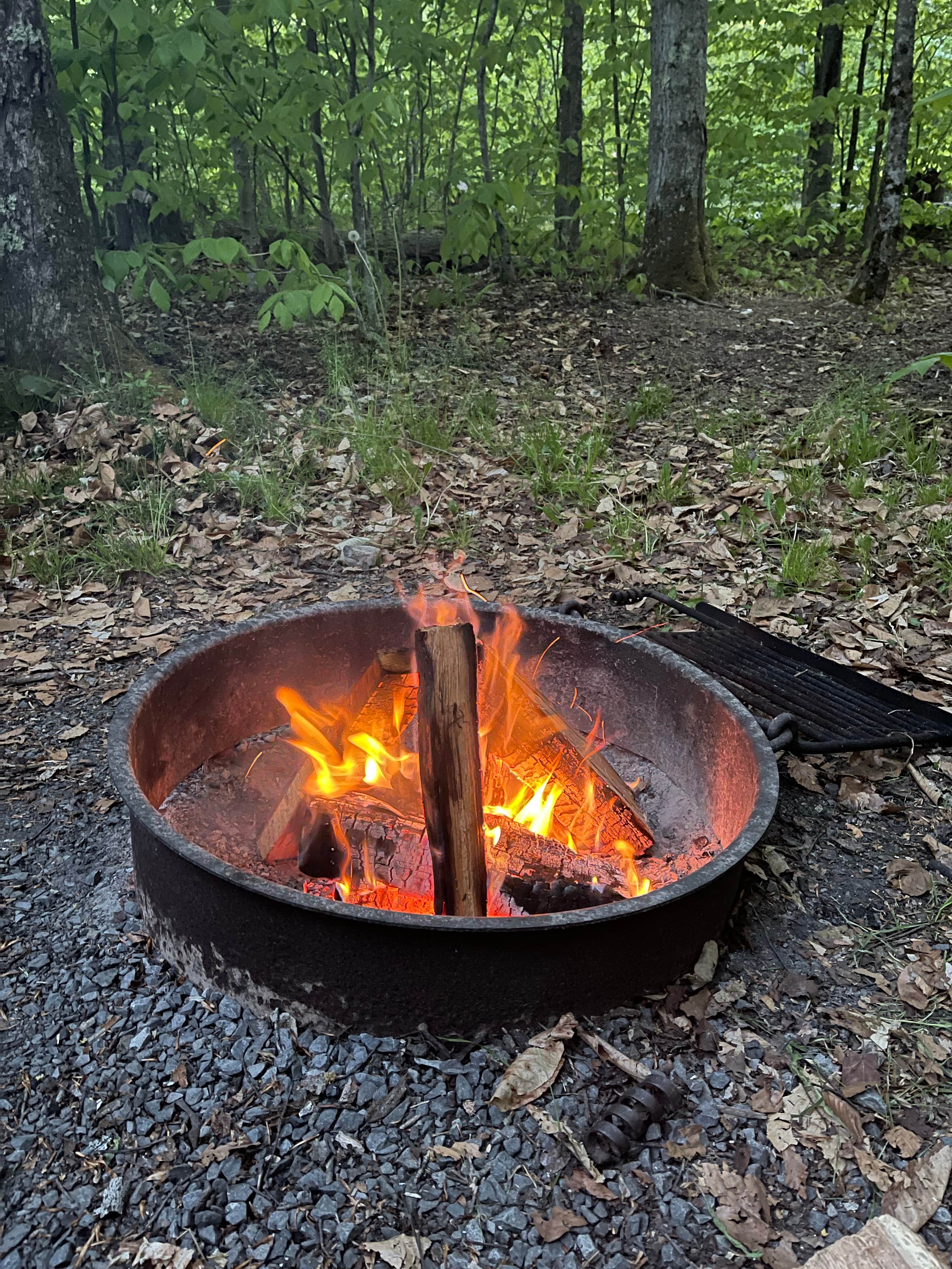 Spruce Knob and Spruce Knob Observation Tower | The Dyrt