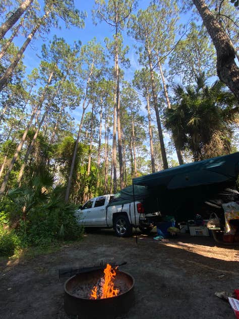 Rodman Campground | The Dyrt