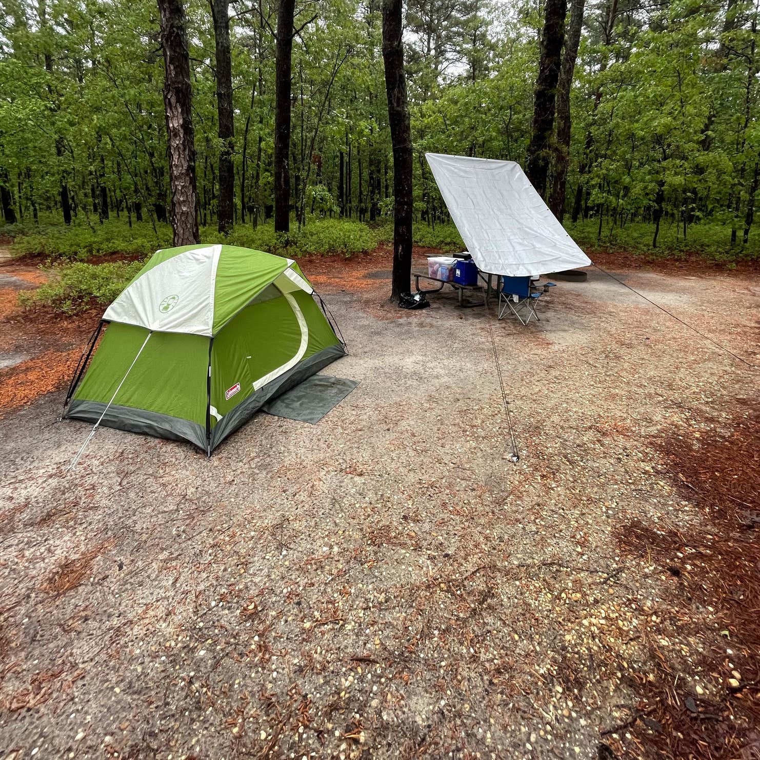 Brendan Byrne State Forest Camping | Woodland, NJ | The Dyrt