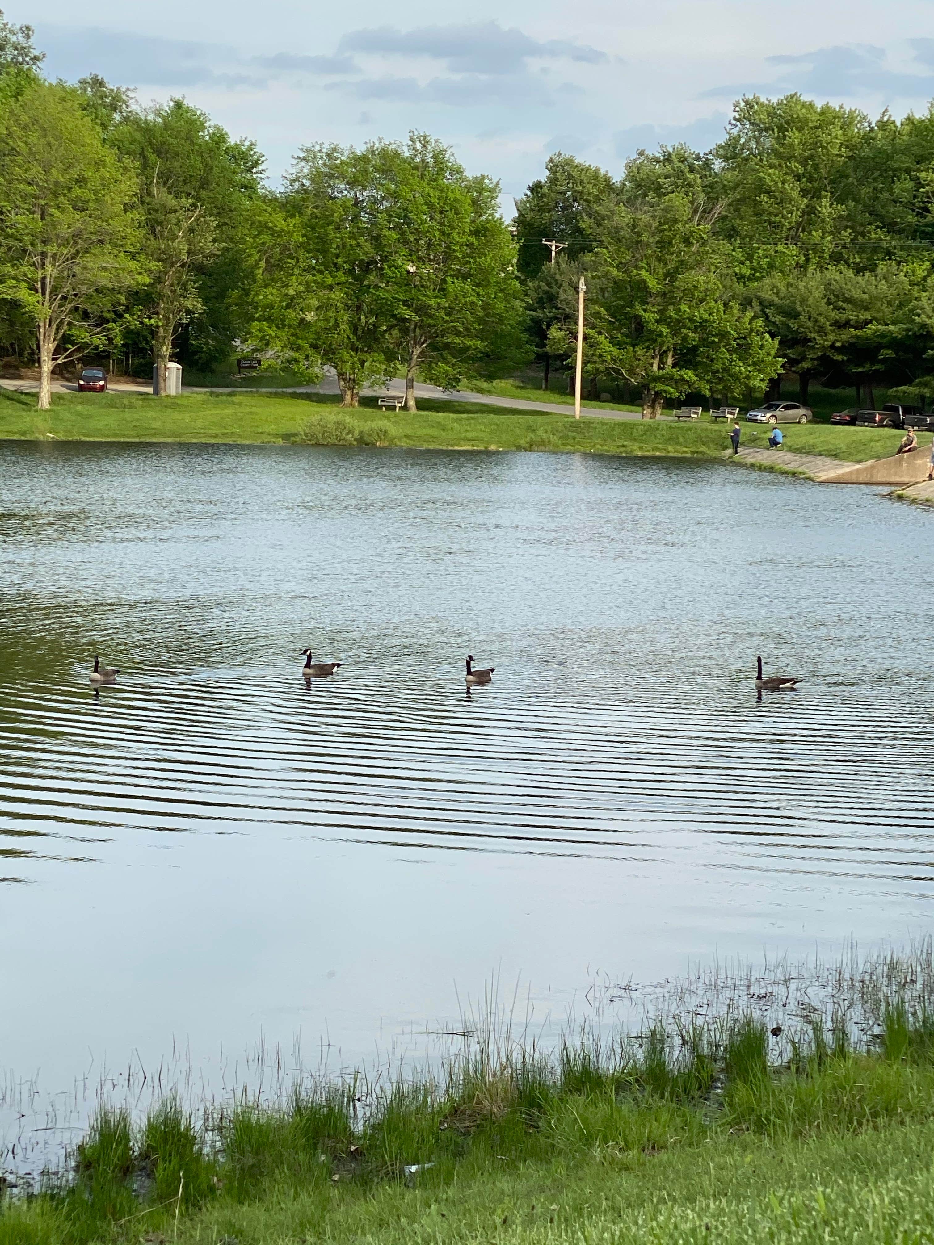 Duman Lake County Park Camping | Vintondale, Pennsylvania