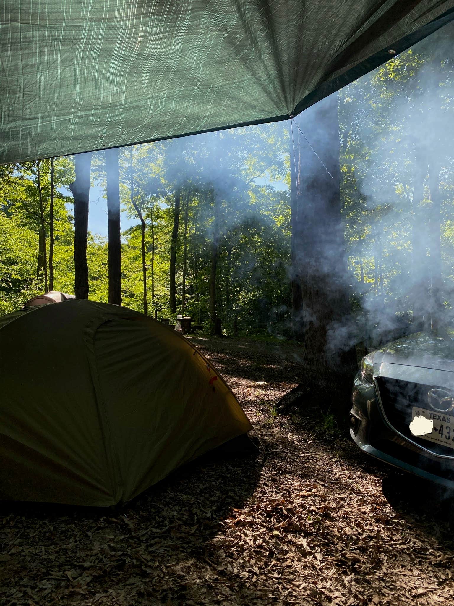 Turkey Run Canoe & Camping Camping | The Dyrt