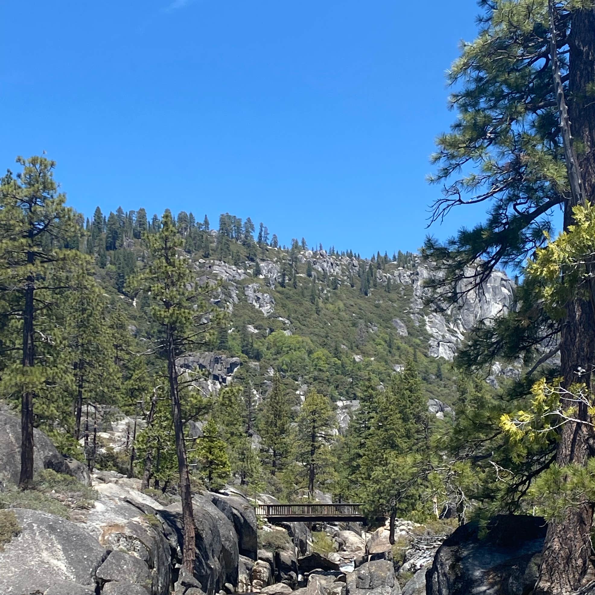 Pinecrest Campground | Long Barn, California