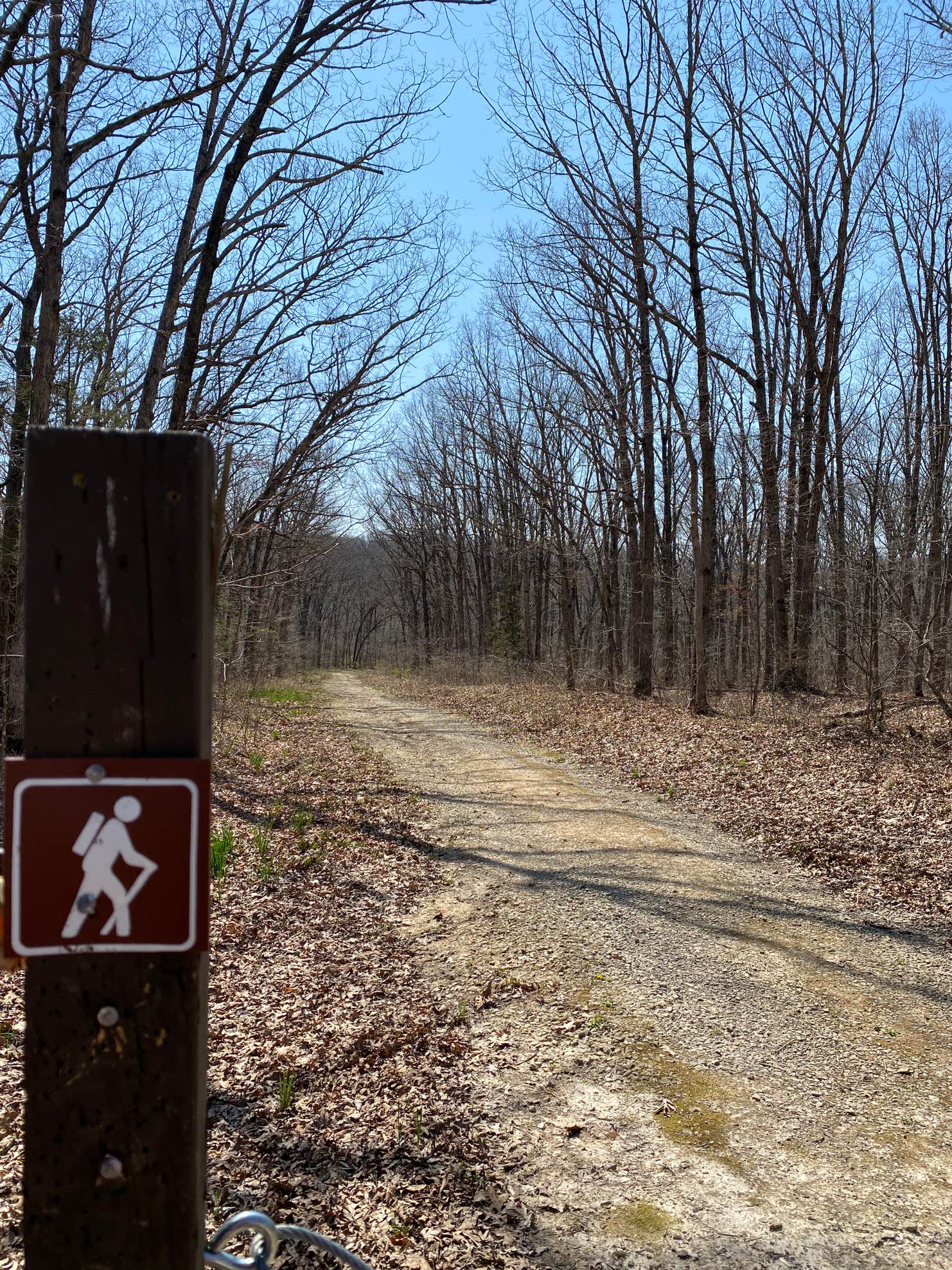 William R. Logan Conservation Area Camping | The Dyrt