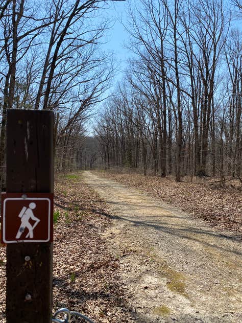 William R. Logan Conservation Area Camping | The Dyrt