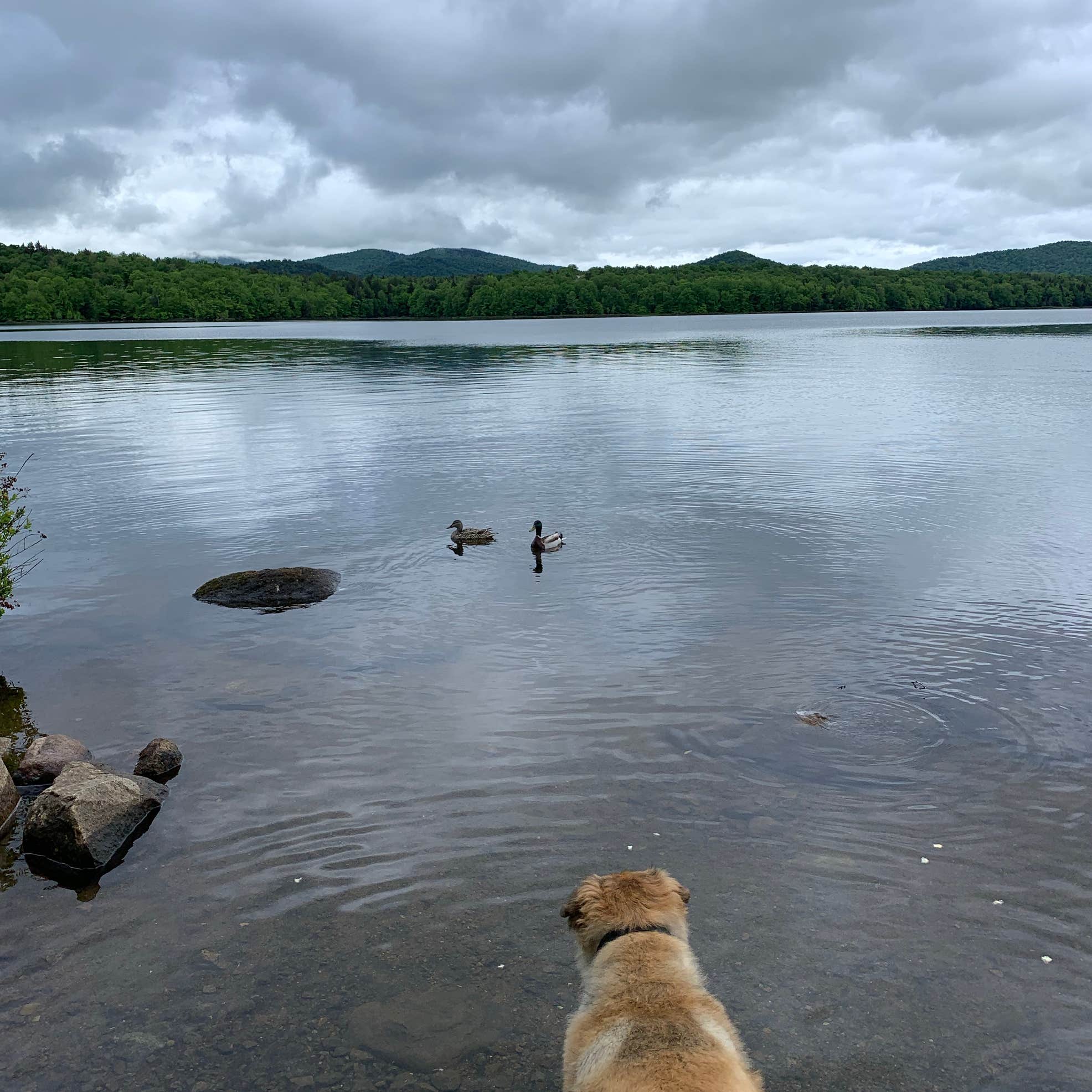 Lewey Lake Campground | Speculator, New York