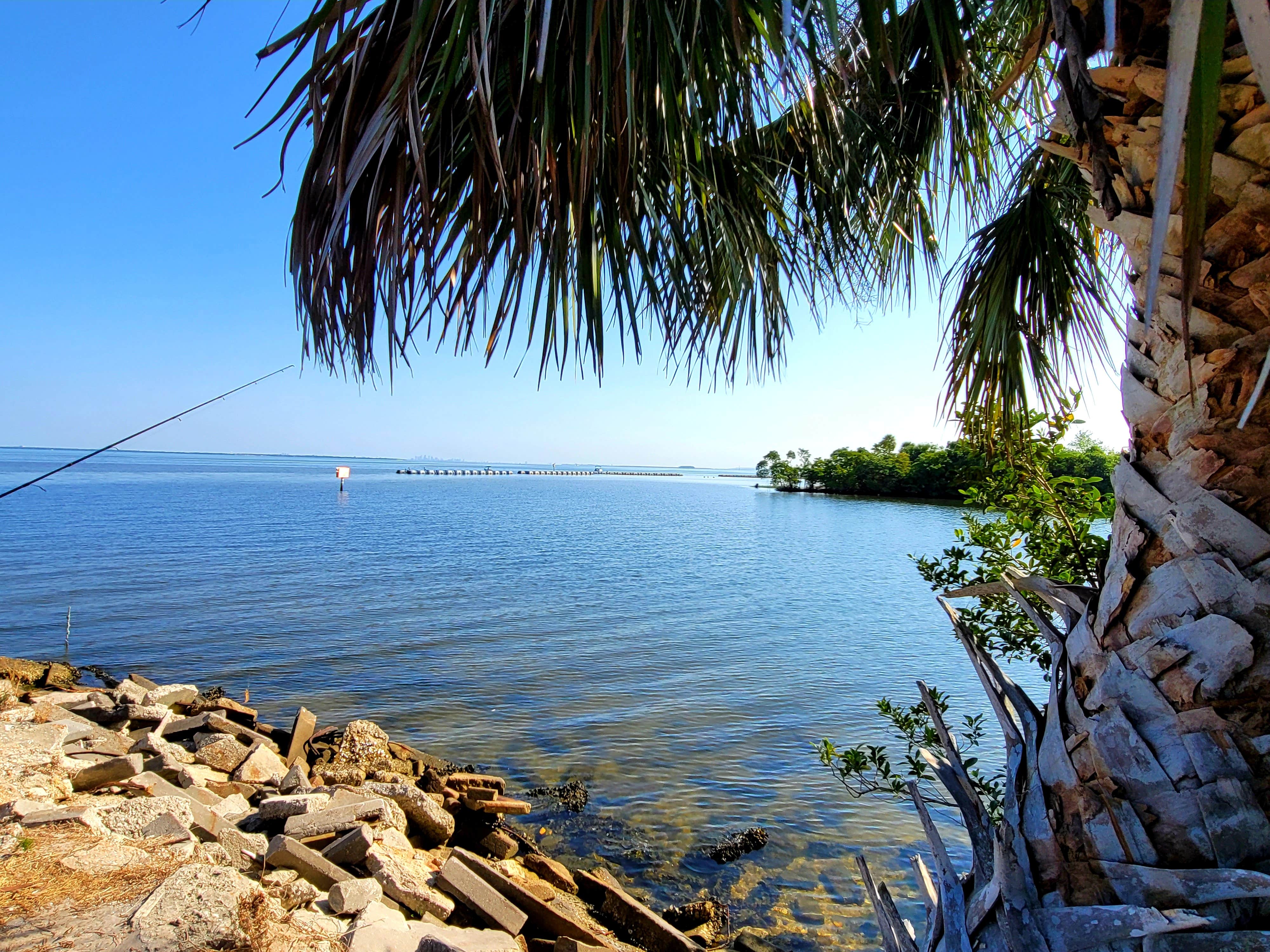 MacDill AFB FamCamp | The Dyrt