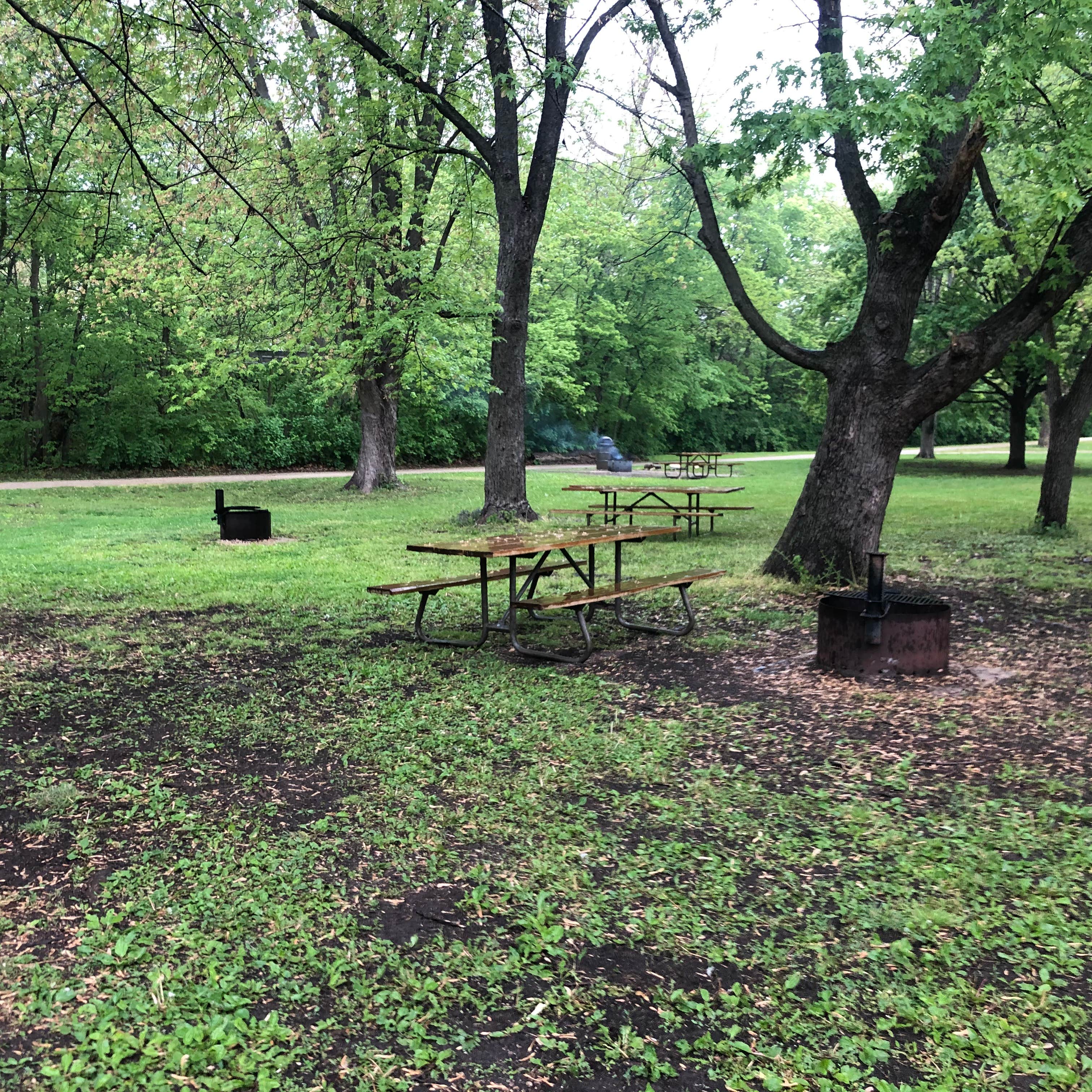 Channahon State Park Campground | Channahon, Illinois