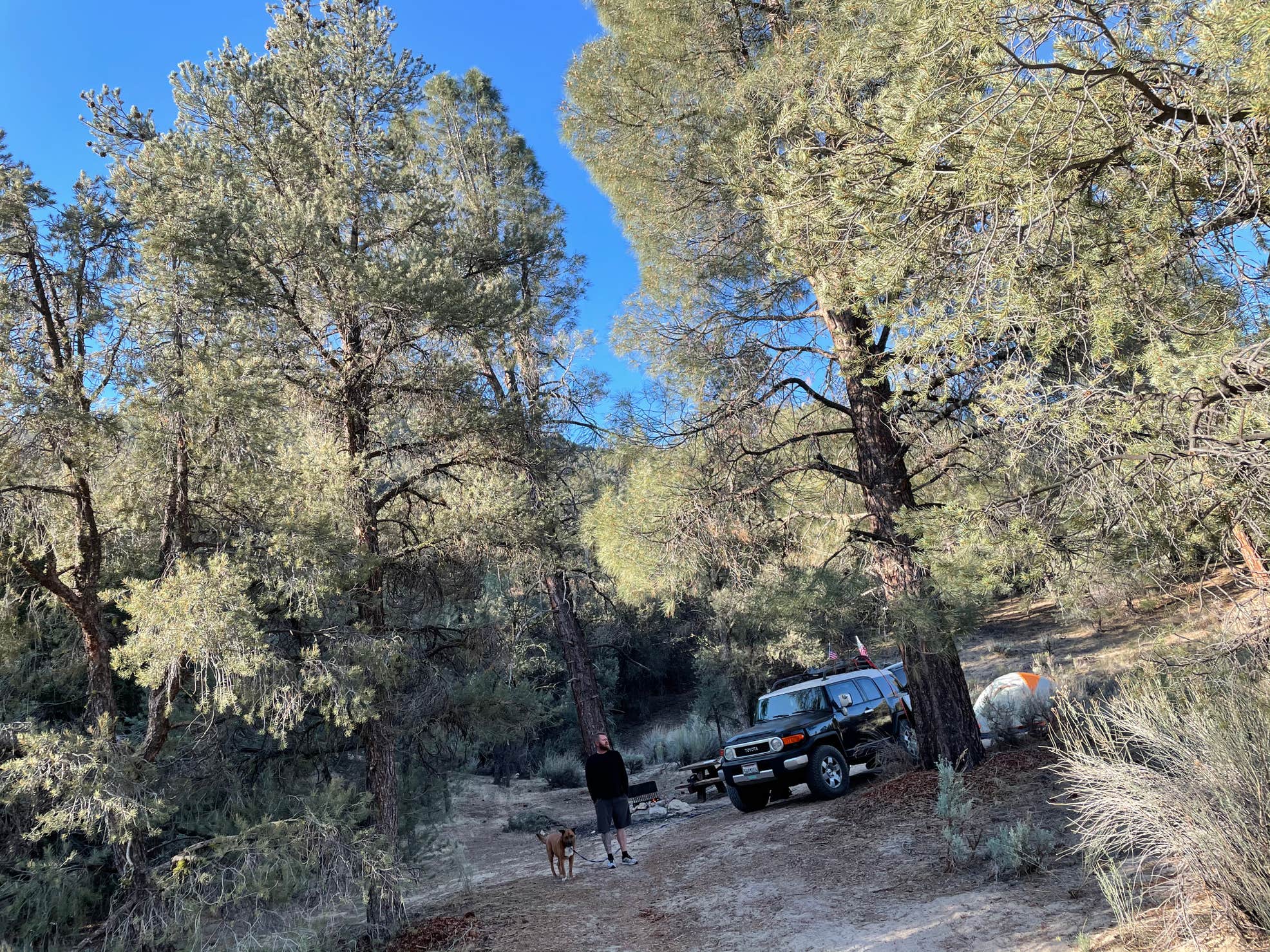 Chimney Creek Campground | The Dyrt