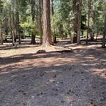 Jackson County Howard Prairie Lake Resort Camping | Ashland, Oregon