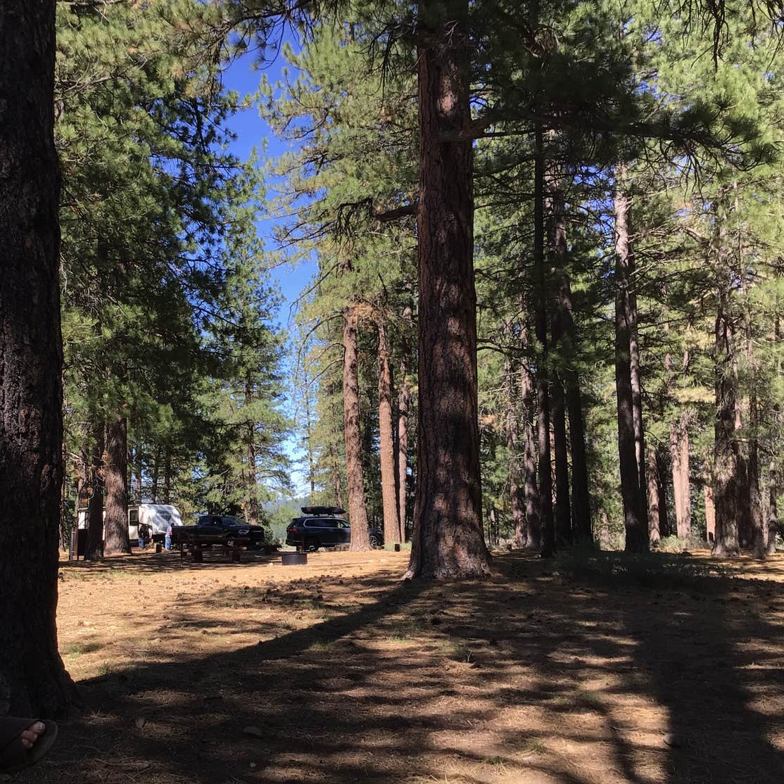 Prosser Family Camping | Truckee, California