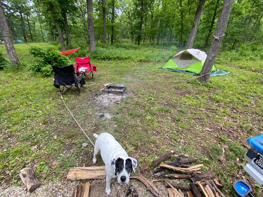 Fiery Fork Conservation Area Camping | The Dyrt