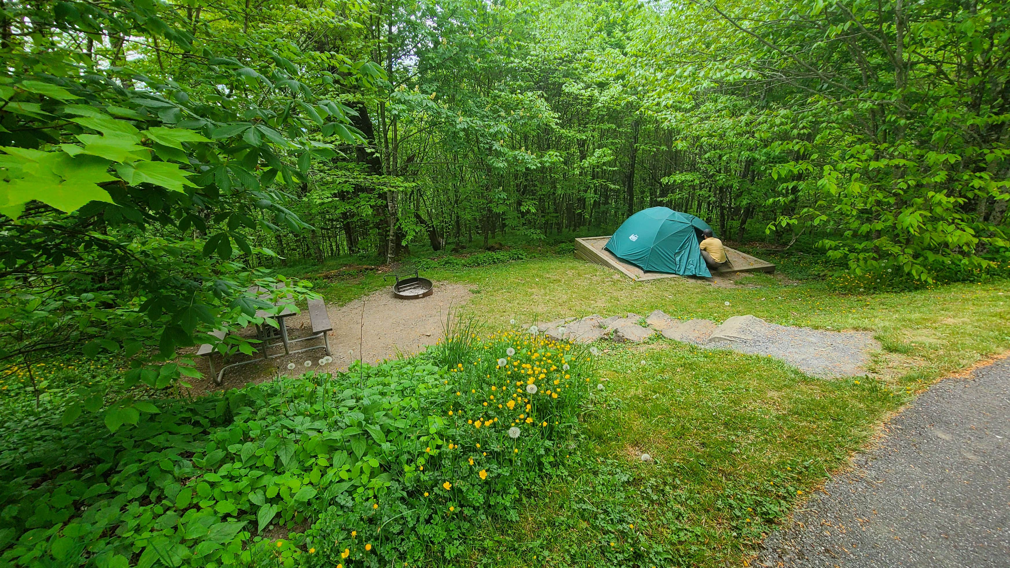 Balsam Mountain Campground | The Dyrt