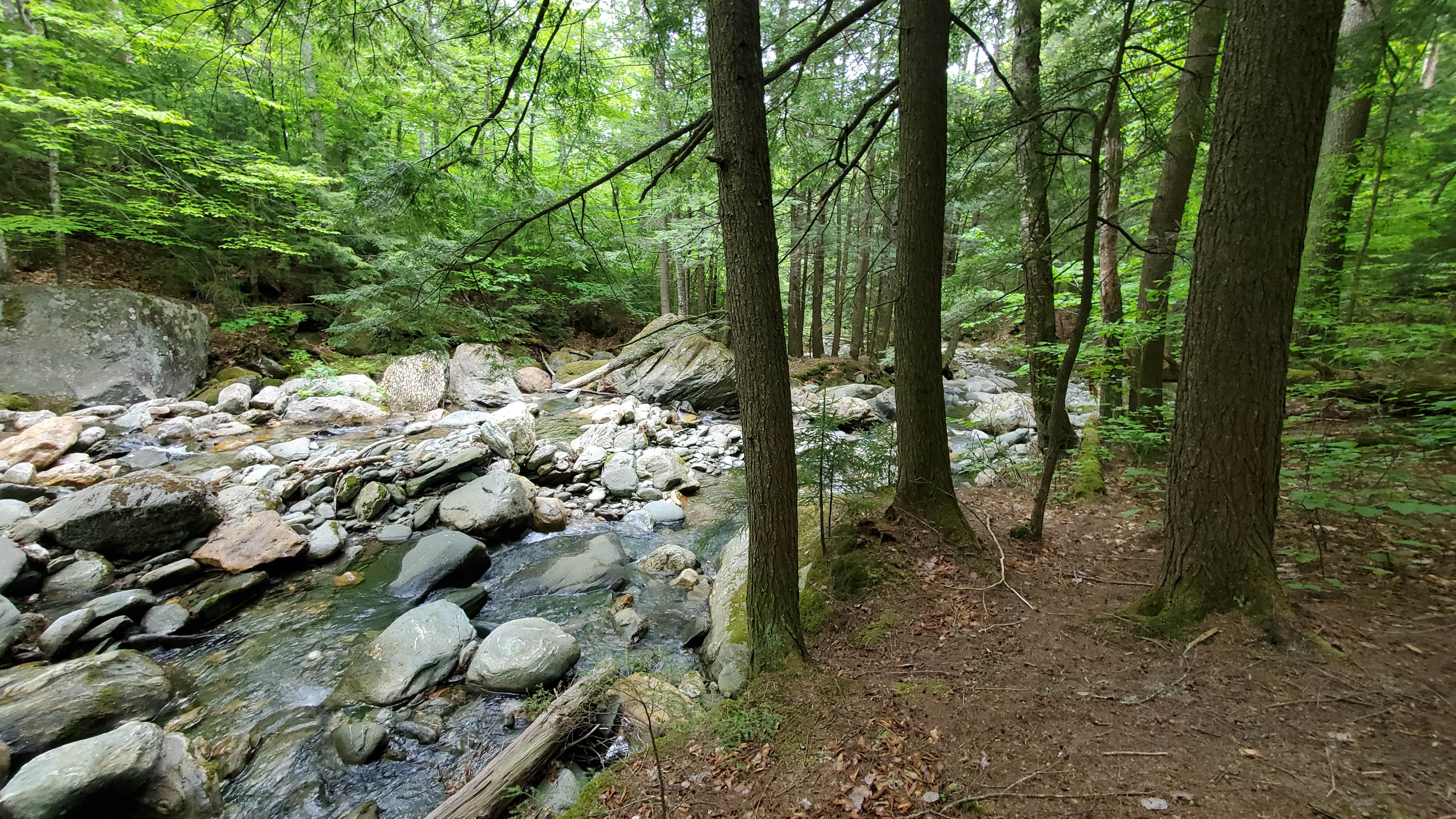 Austin Brook Camping | Warren, VT
