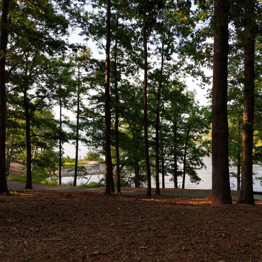Brady Mountain - Lake Ouachita Camping | The Dyrt