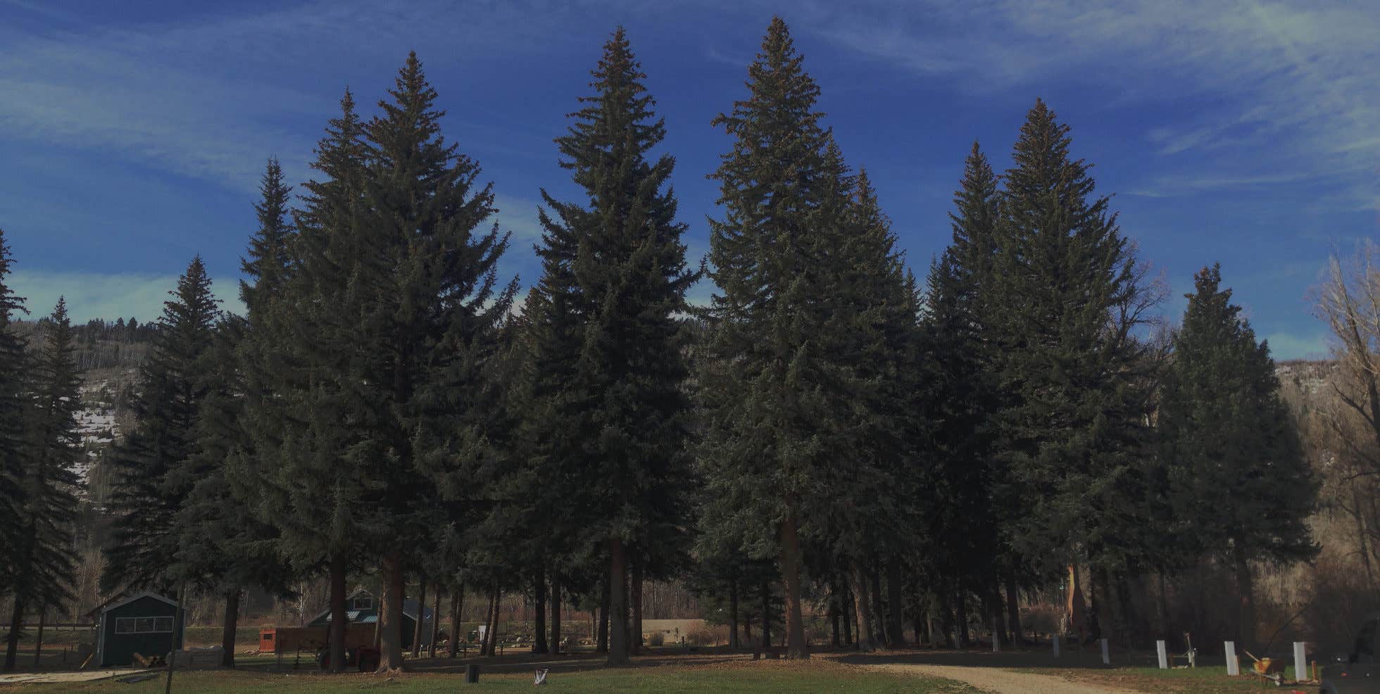 Stoner RV Resort | Dolores, Colorado