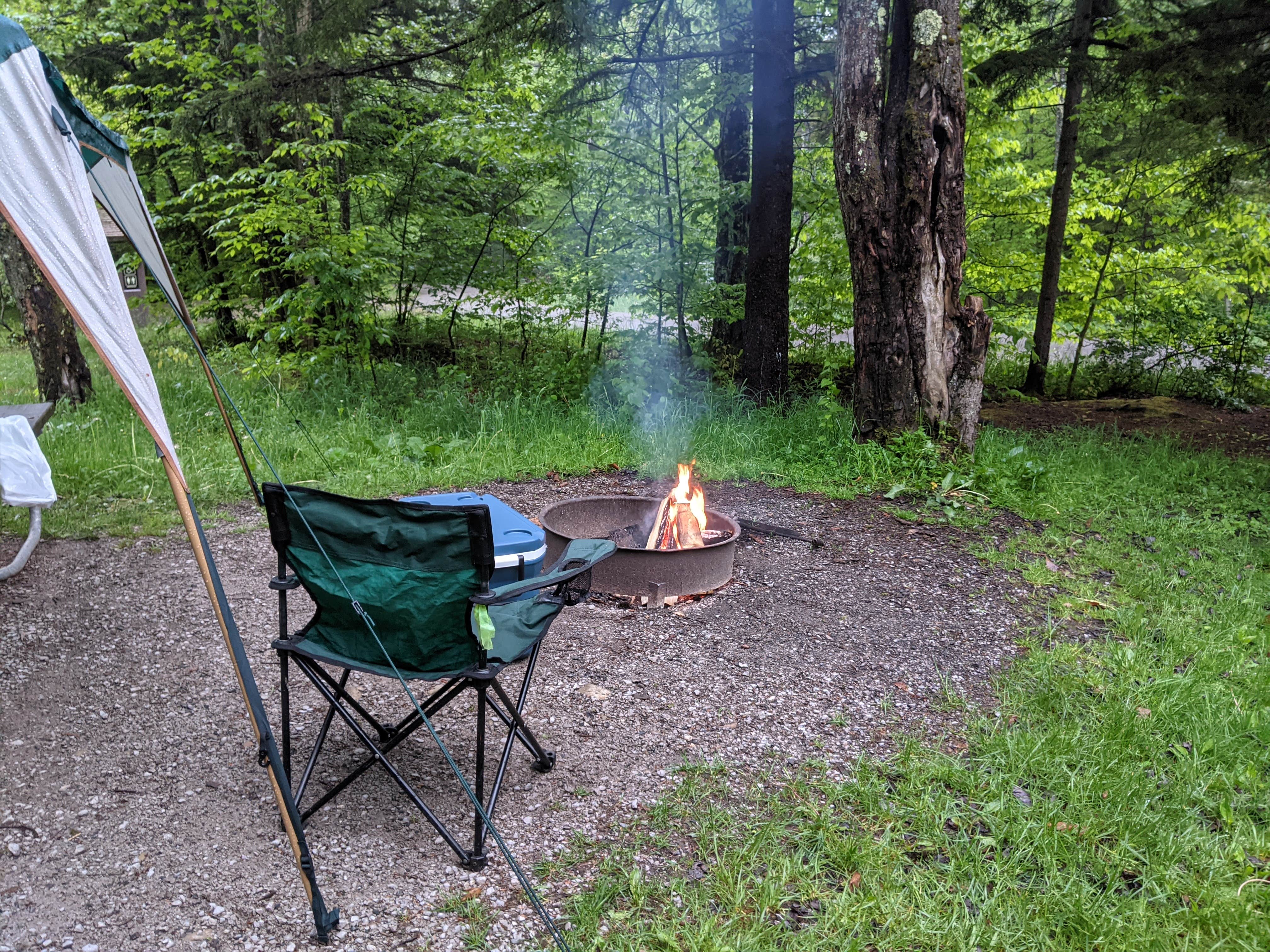 Spruce Knob and Spruce Knob Observation Tower | The Dyrt
