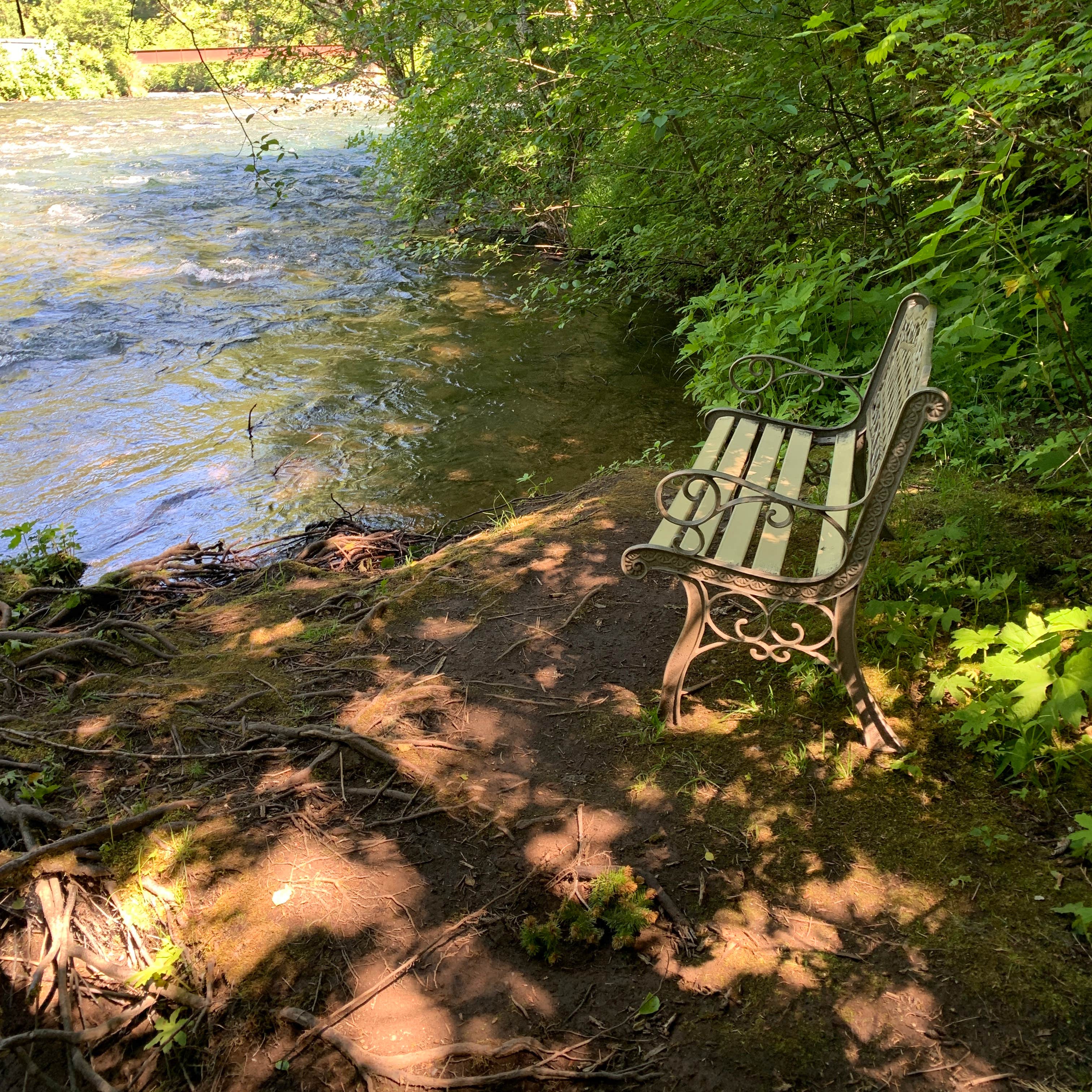 Belknap Hot Springs Lodge and Gardens Camping | Willamette National ...